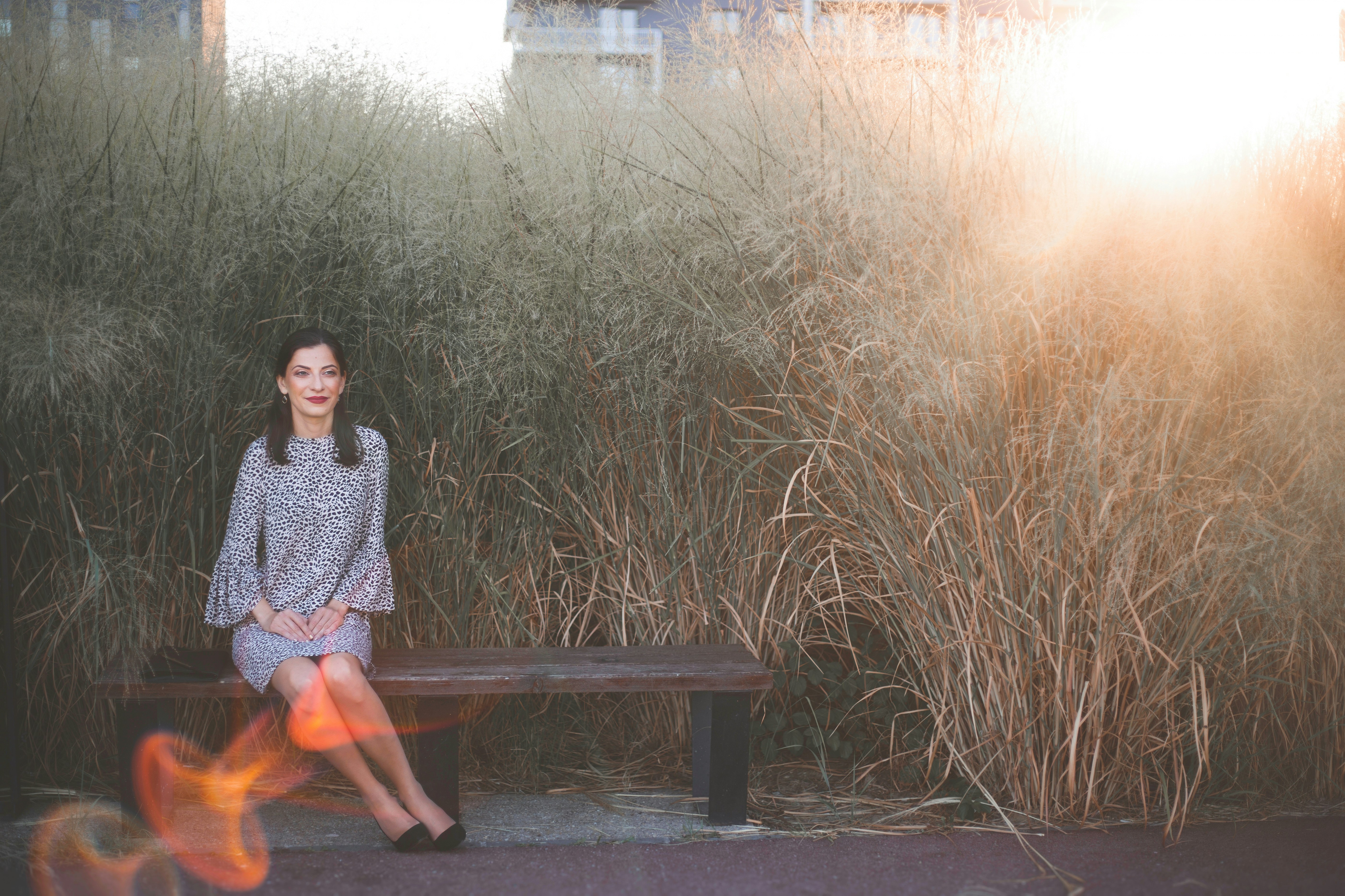 Bench Portrait in Golden Grass: Quiet Light at the Field's Edge