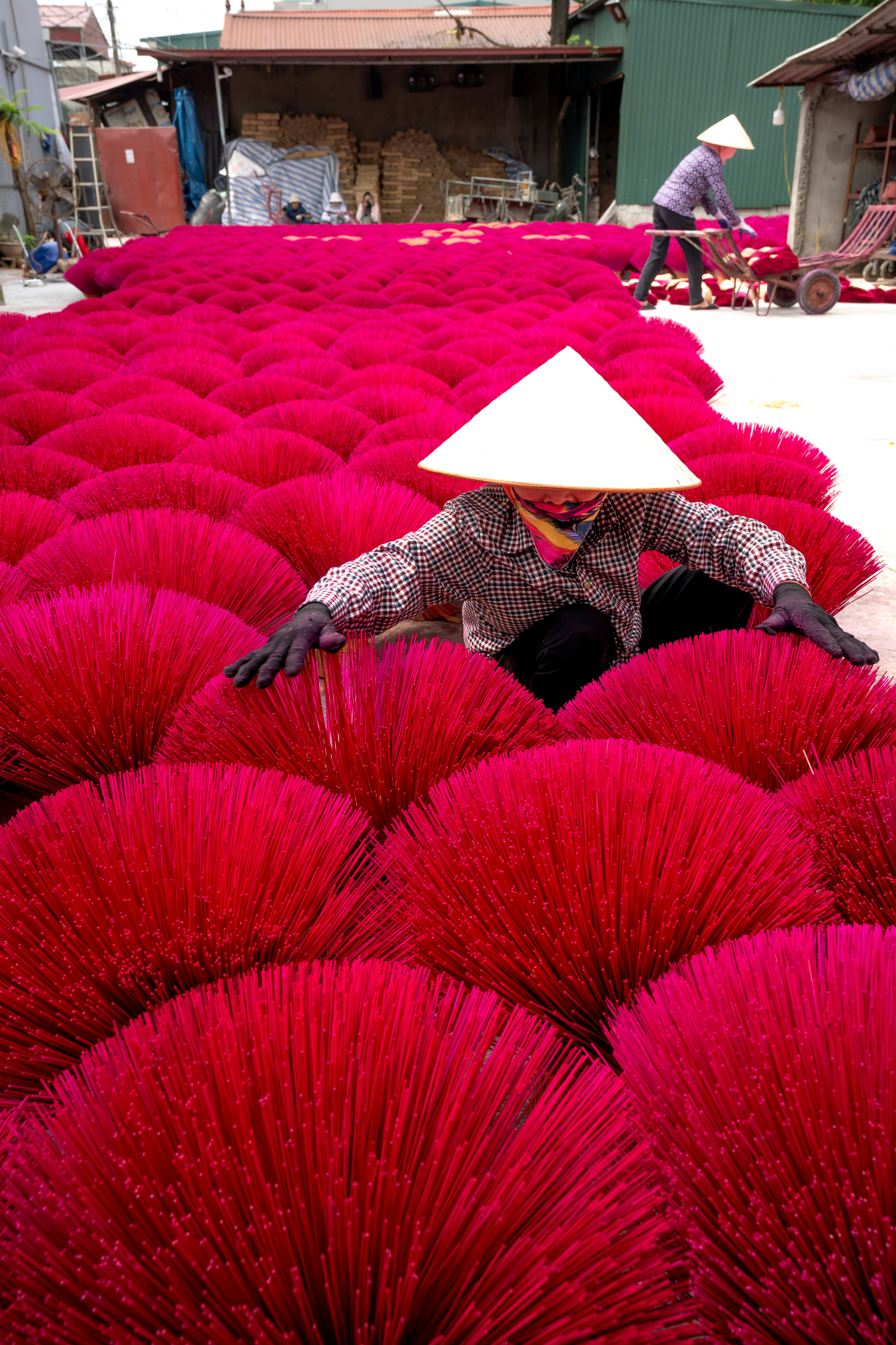 A person kneeling down in a field of red grass photo – Free Shelter ...