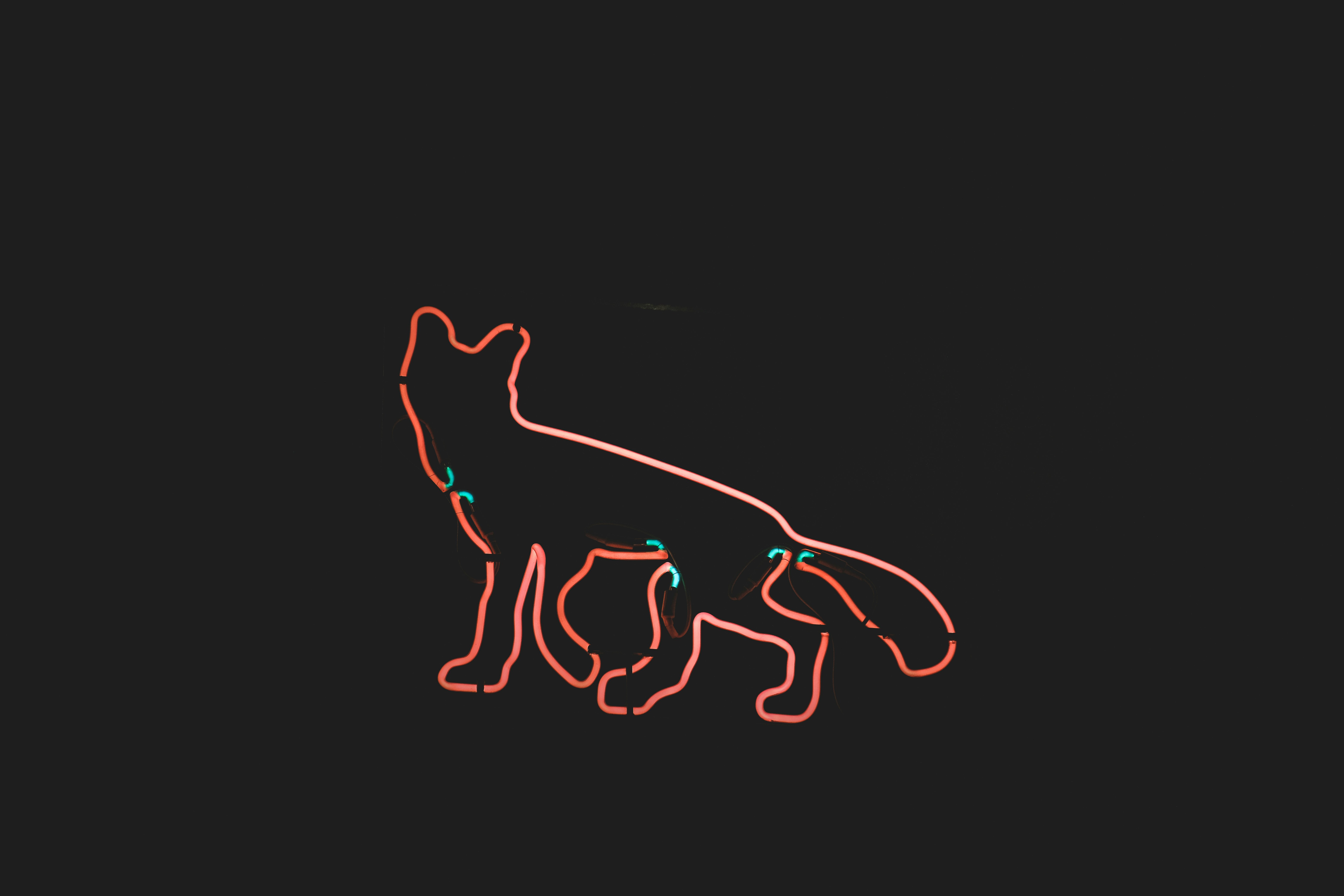 Perro Dogger Logo Pictures | Download Free Images on Unsplash