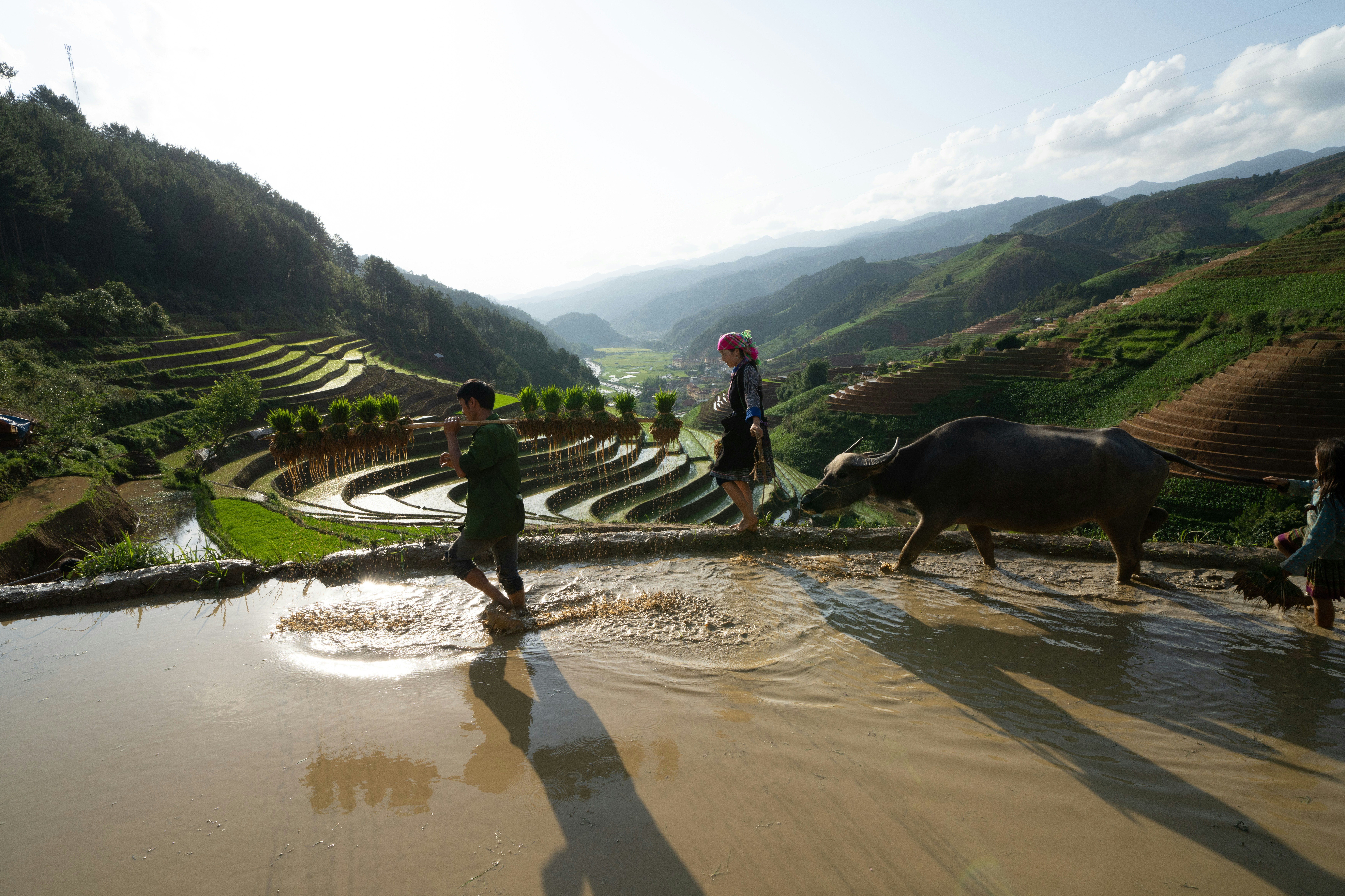 A group of people walking across a muddy field photo – Free Photography ...