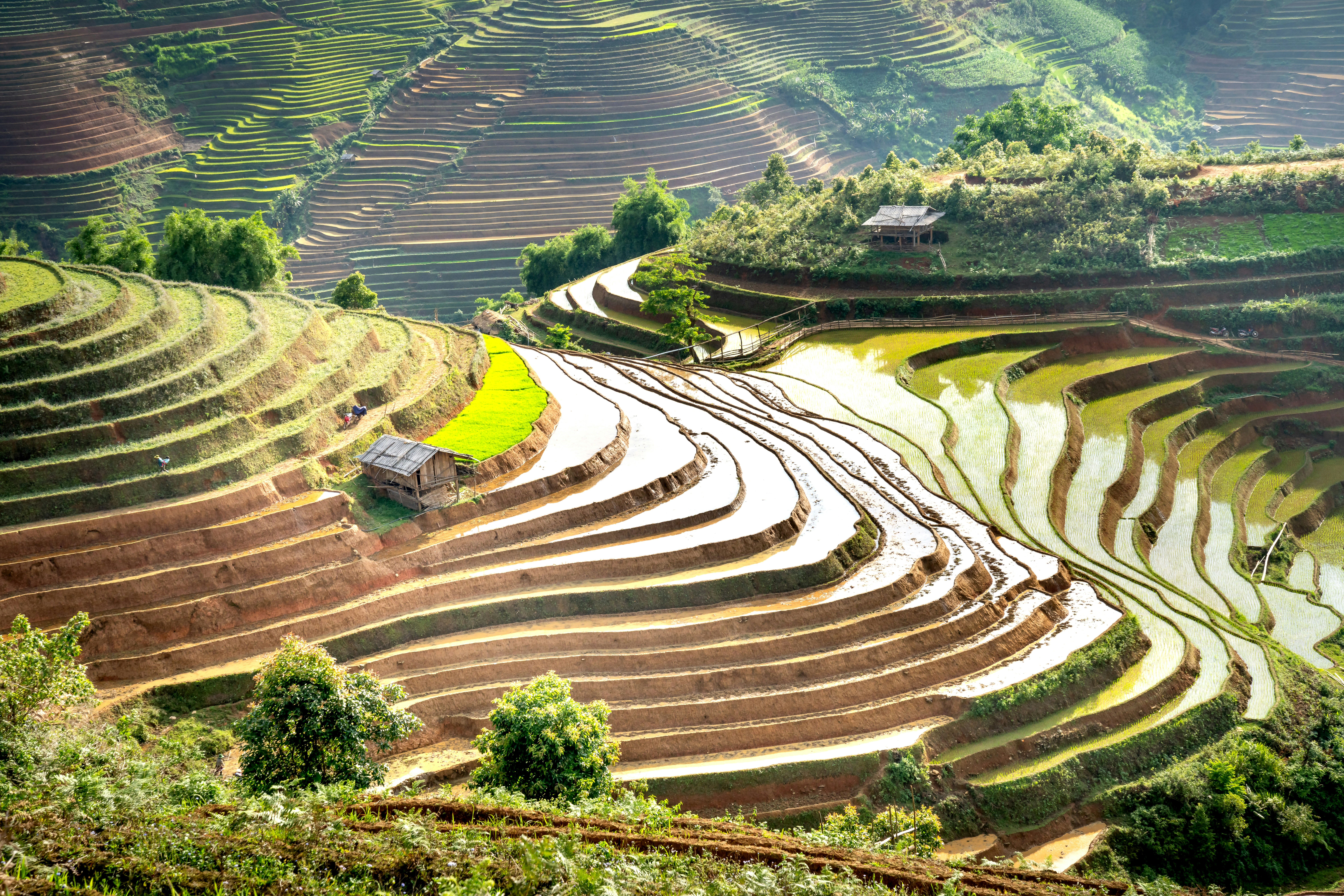 Les rizières en terrasses d’une rizière en terrasses photo – Photo En ...