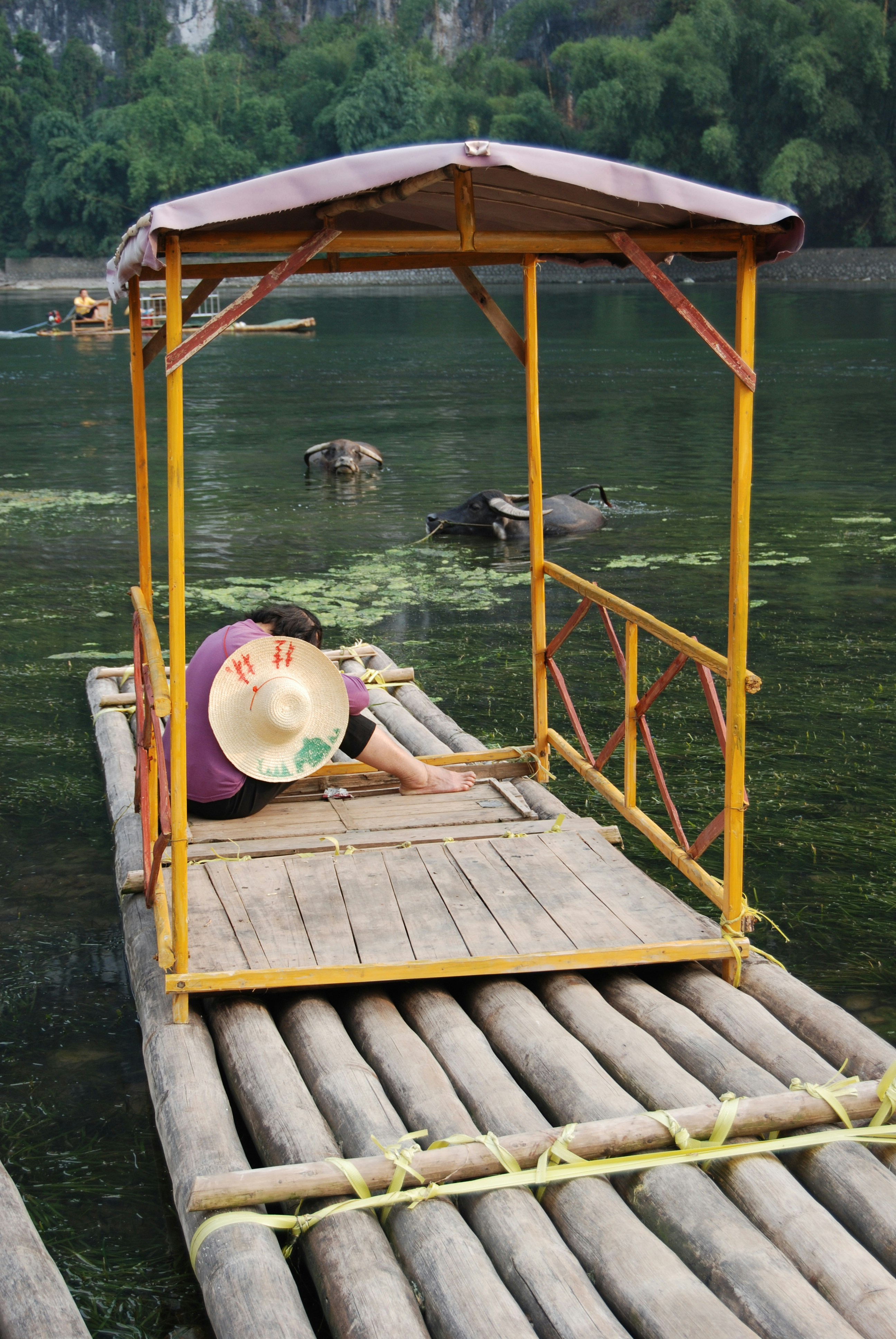 Edge-of-Deck Tranquility: A Straw-Hatted Observer on a Bamboo Raft