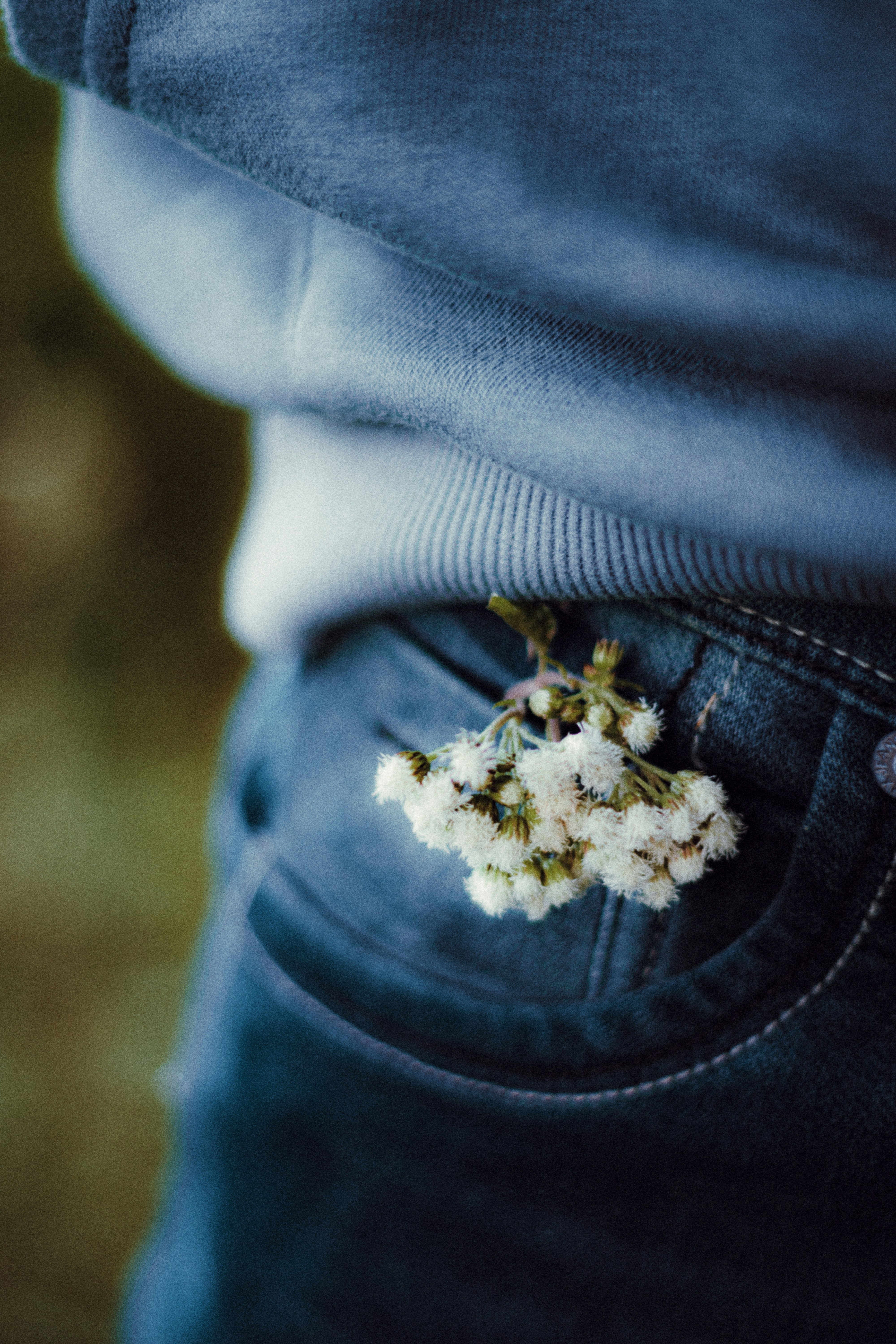 White blooms tucked in blue denim: a quiet pocket of spring