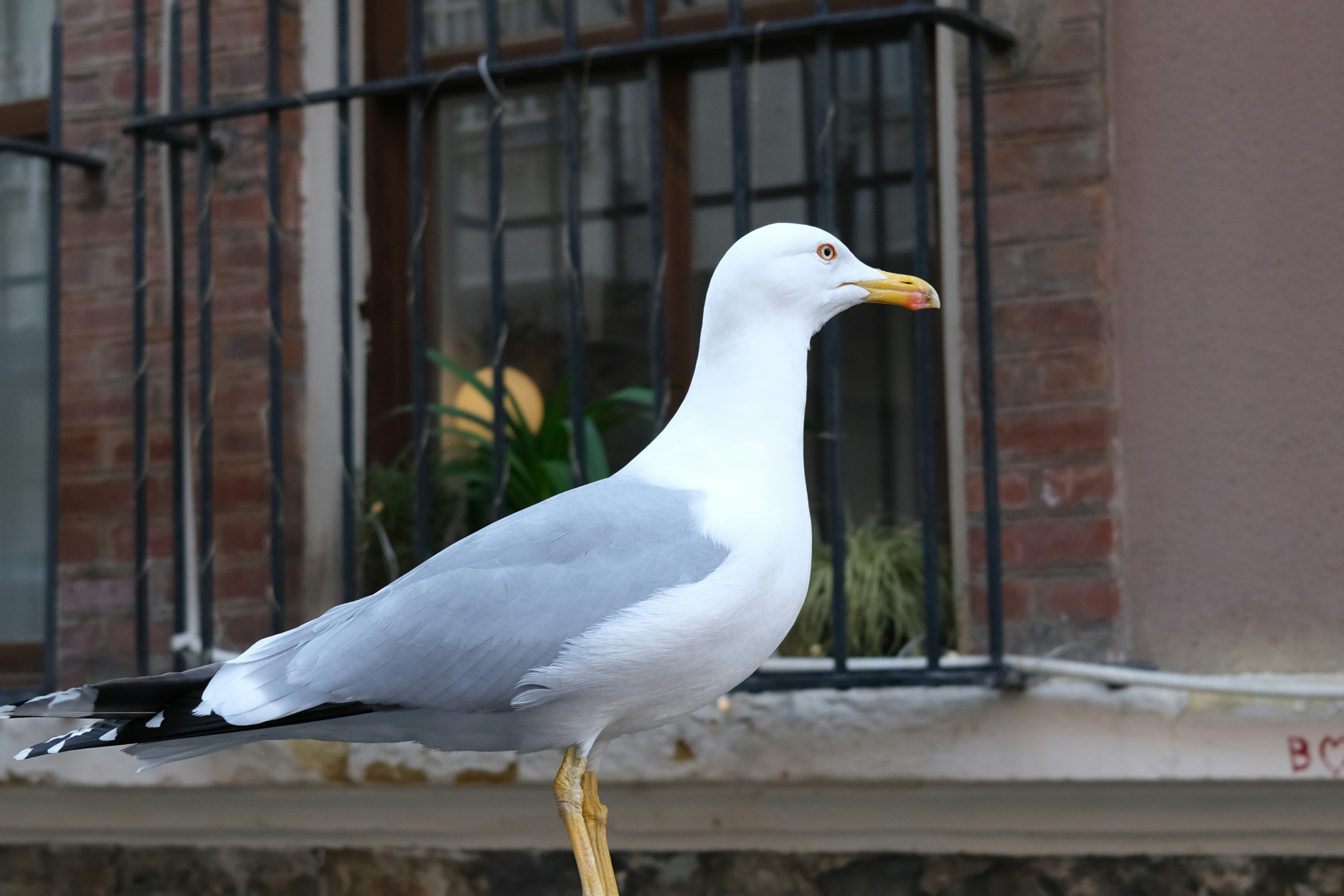 Photo by Zahraa Hassan with Fujifilm X100V