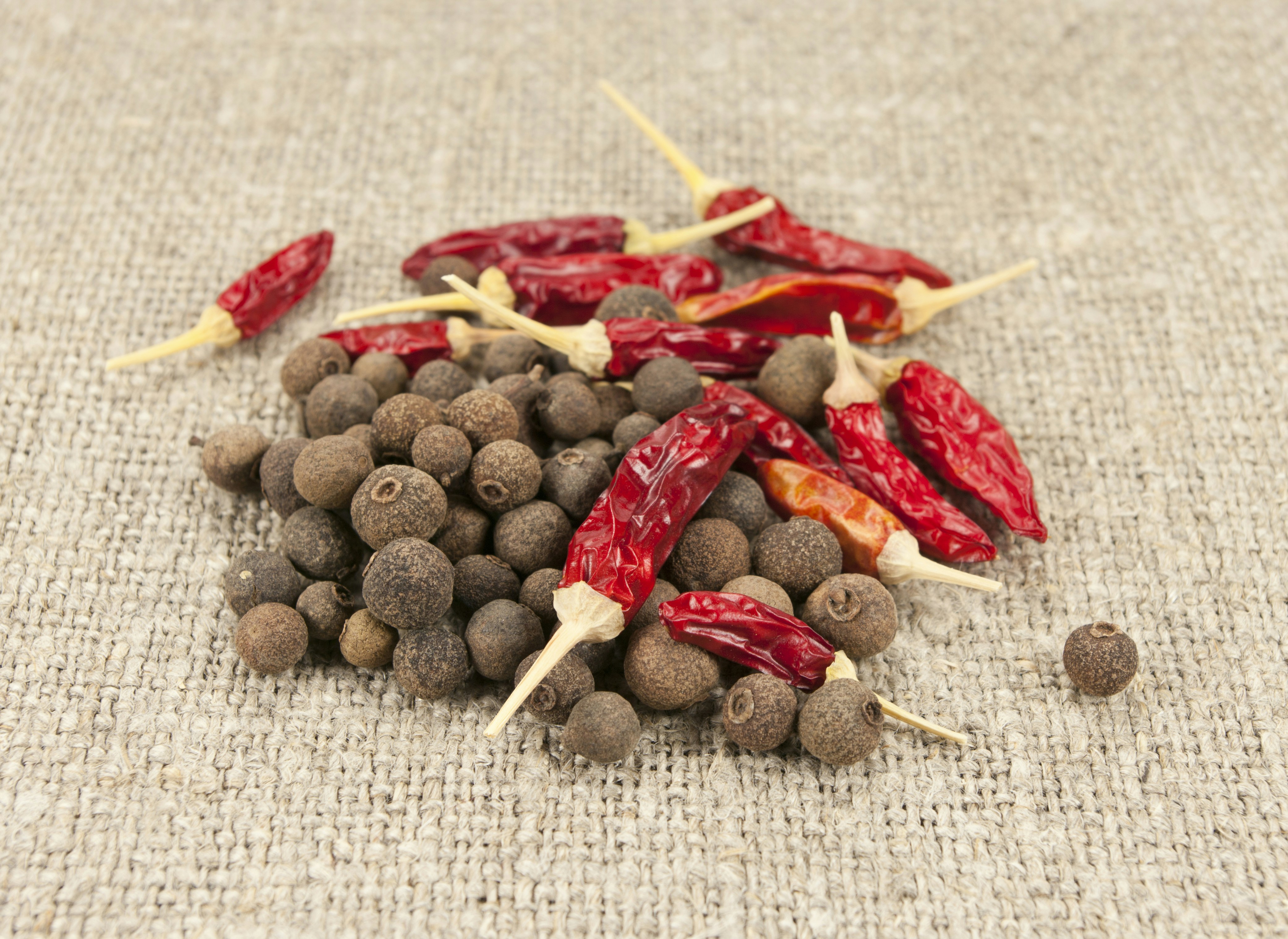 A vibrant arrangement of dried chili peppers and allspice berries on a textured fabric background, showcasing the rich colors and shapes of culinary ingredients.