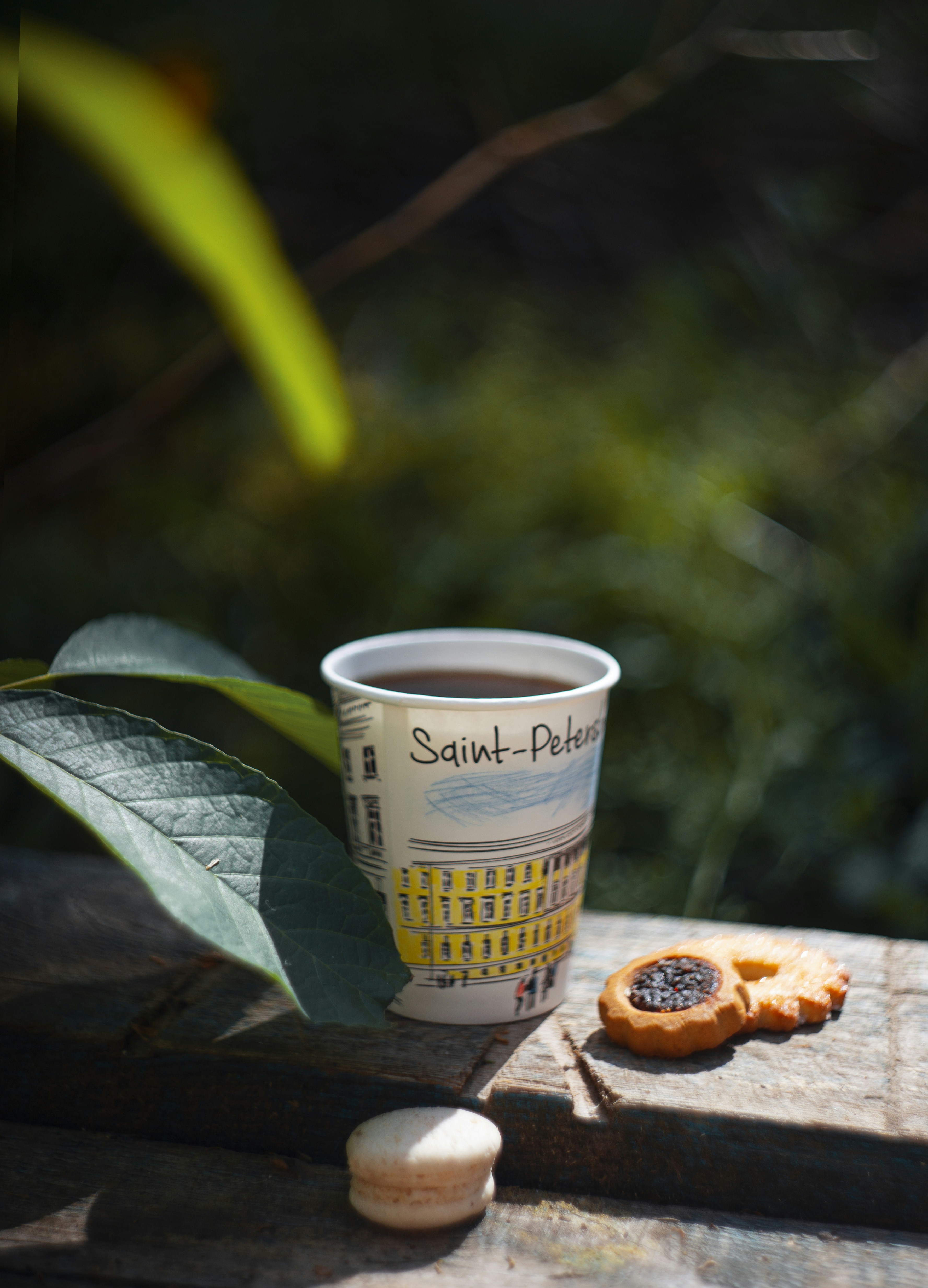 Sketches in Steam: A Paper Cup, a Biscuit, and Sunlit Wood