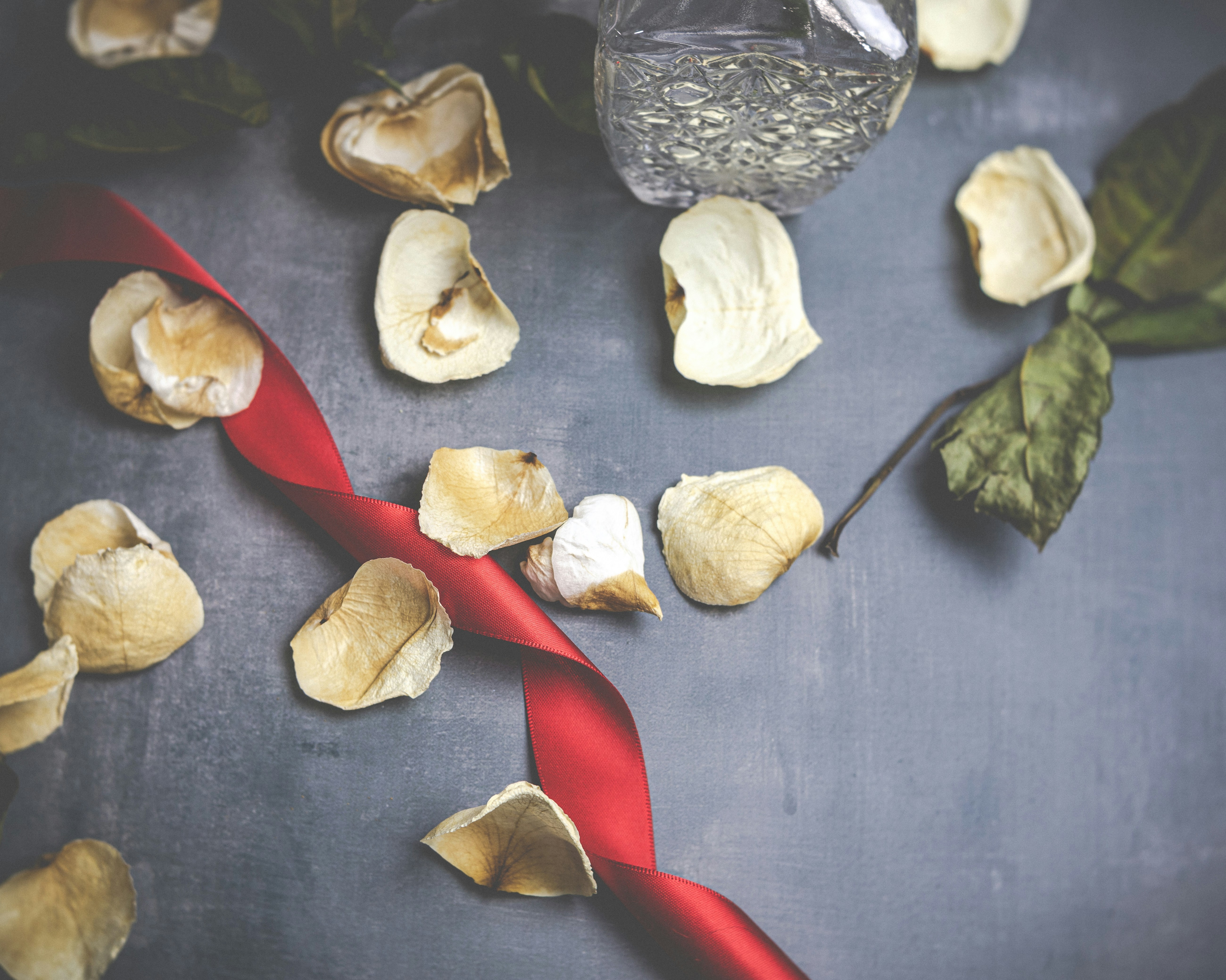 Jason D (@jasondeblooisphotography) | Unsplashフォトコミュニティ