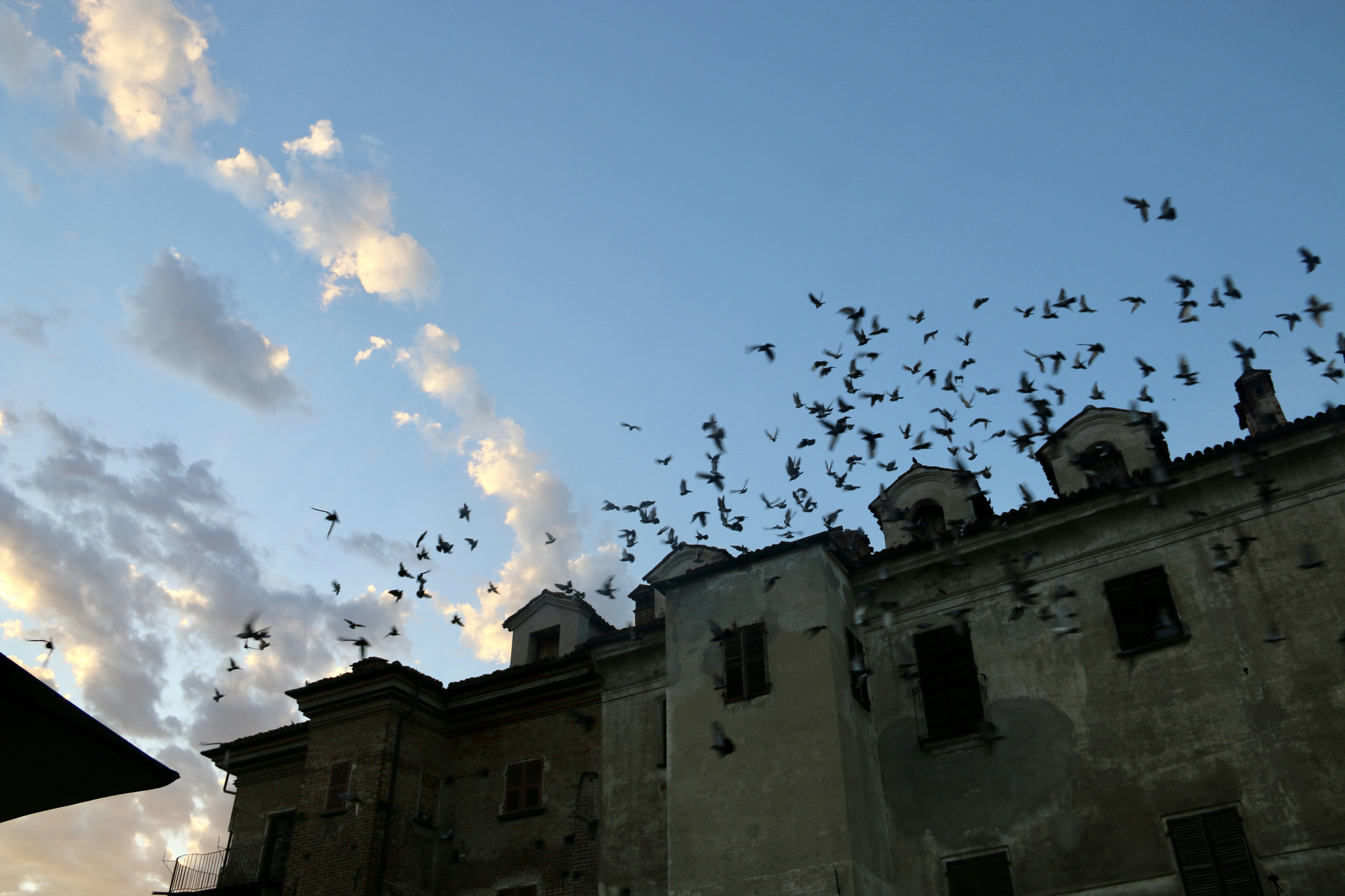Silhouette of birds flying above an old building against a blue sky with scattered clouds.