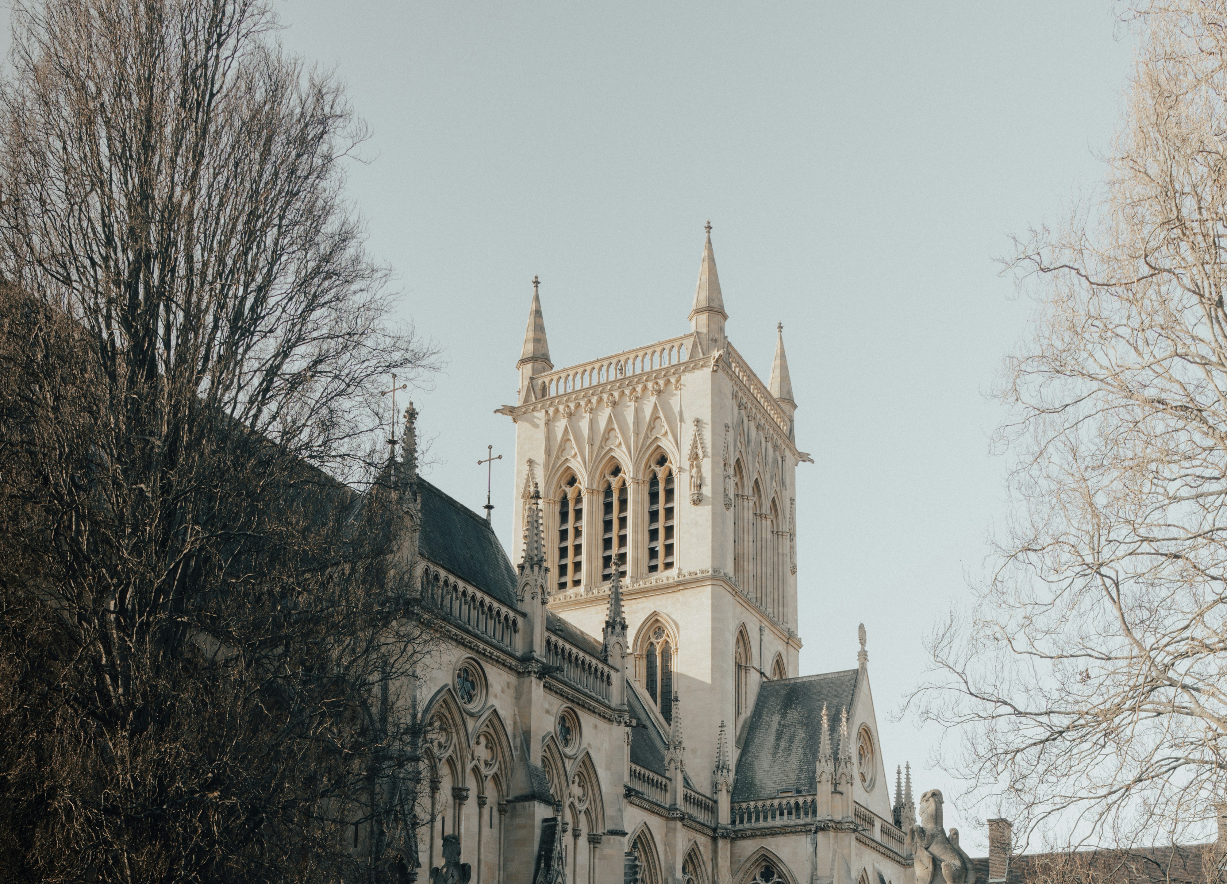 Photo by Chris Johnson with Sony Alpha 6000