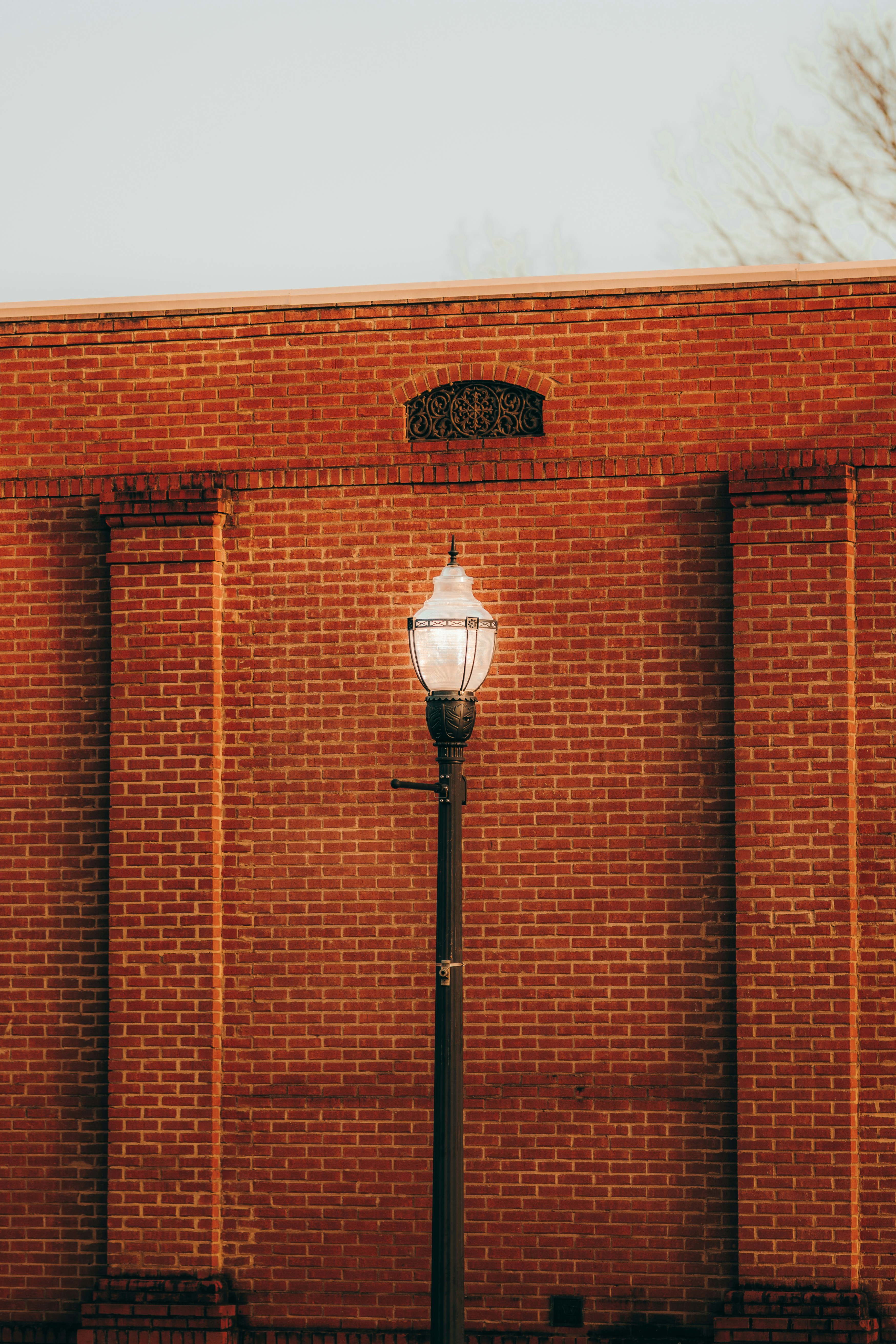 Photo by Coleman Glover with Sony Alpha 7R III