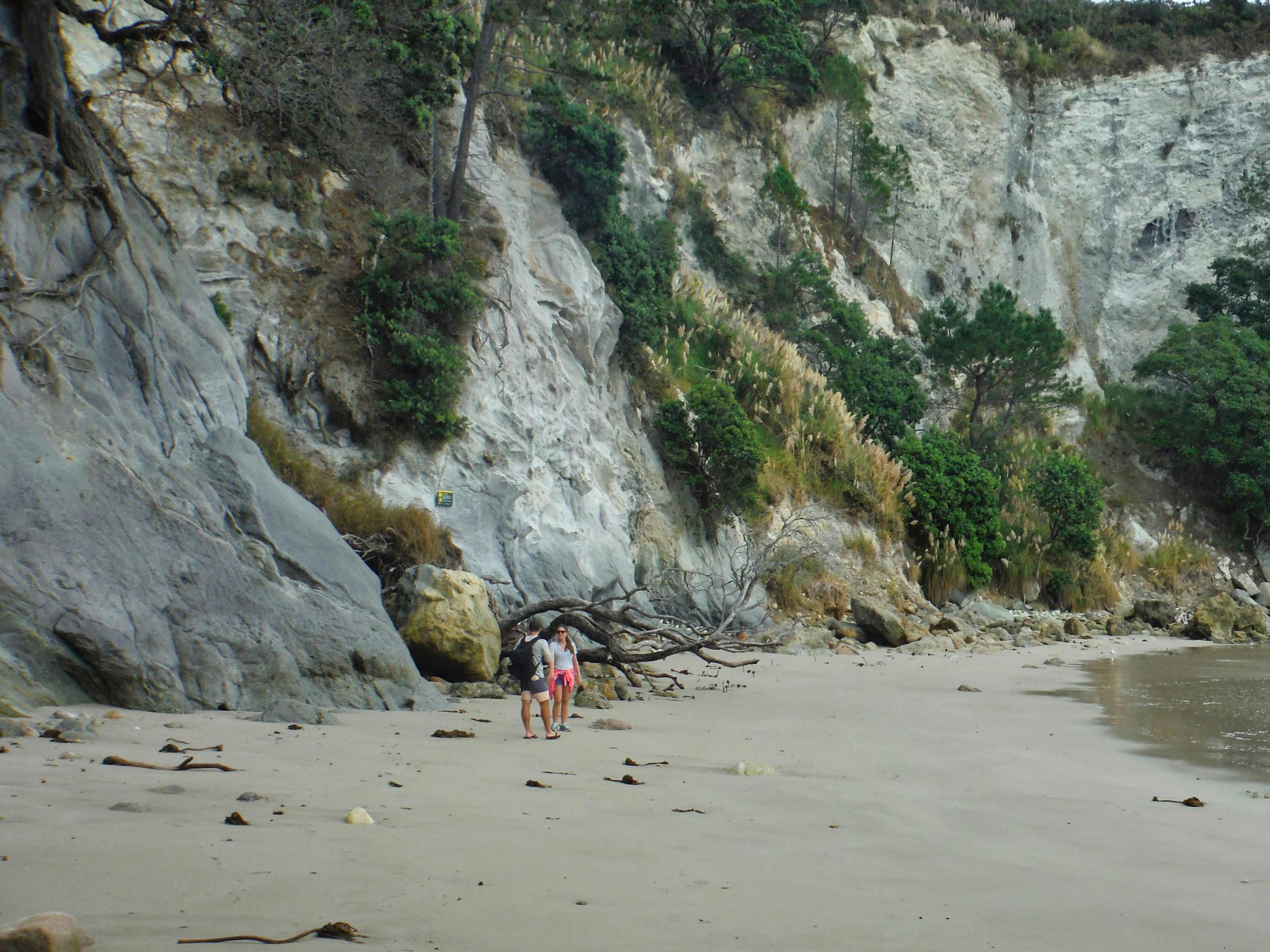 MATHEW RUPP (@mattkc) | Komunitas Foto Unsplash