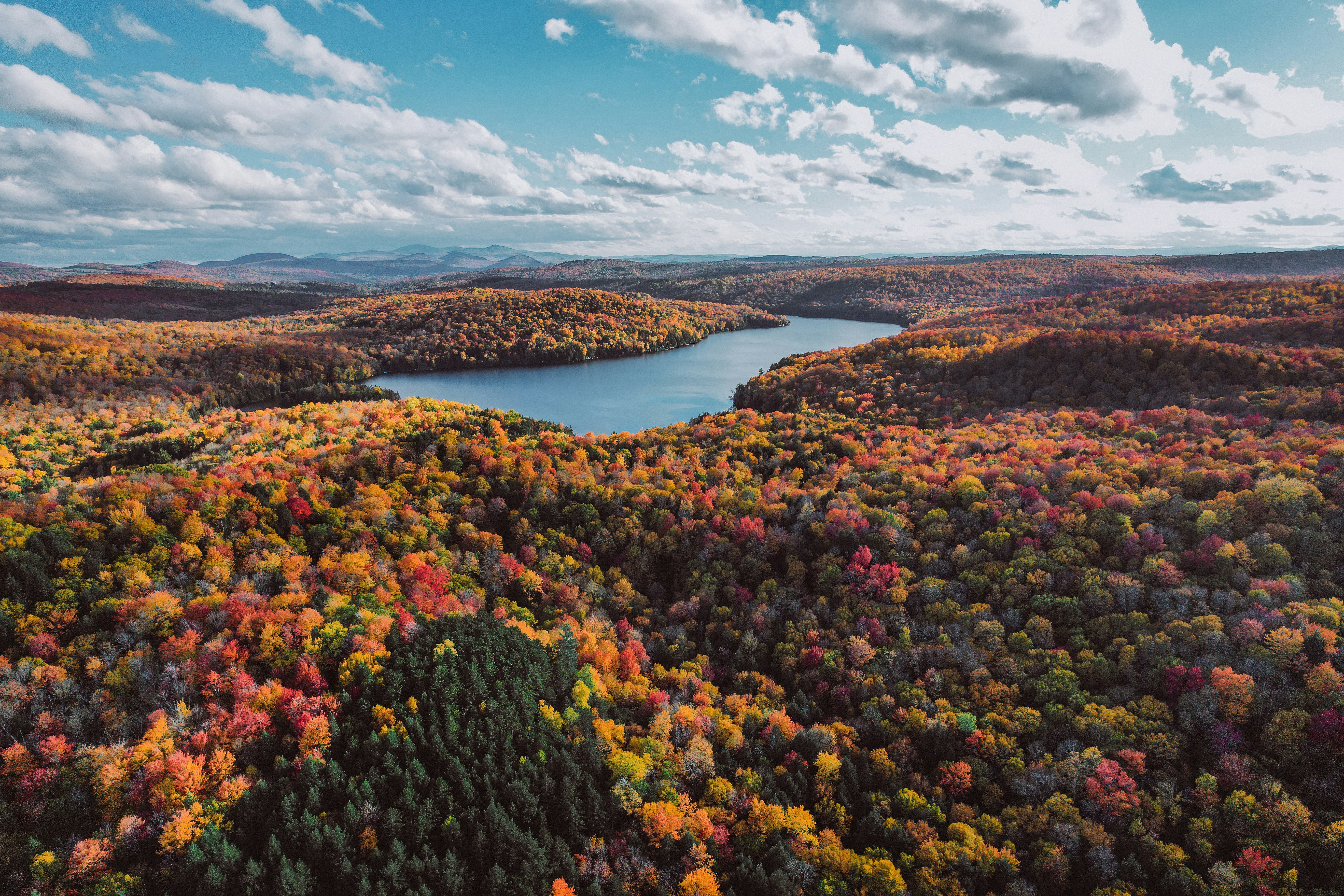 an aerial view of a lake surrounded by trees