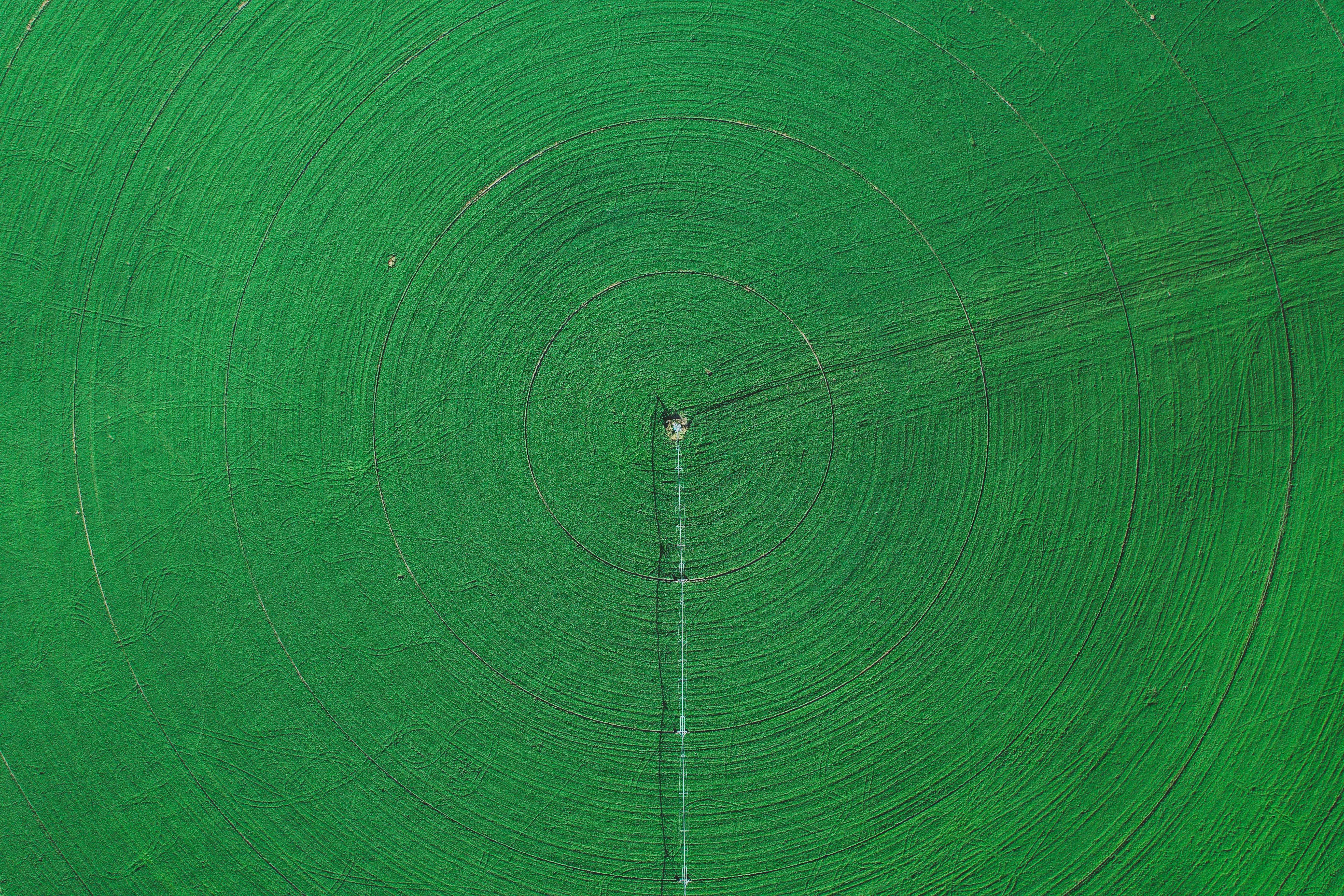 Concentric Croplands: The Central Line in a Sea of Green