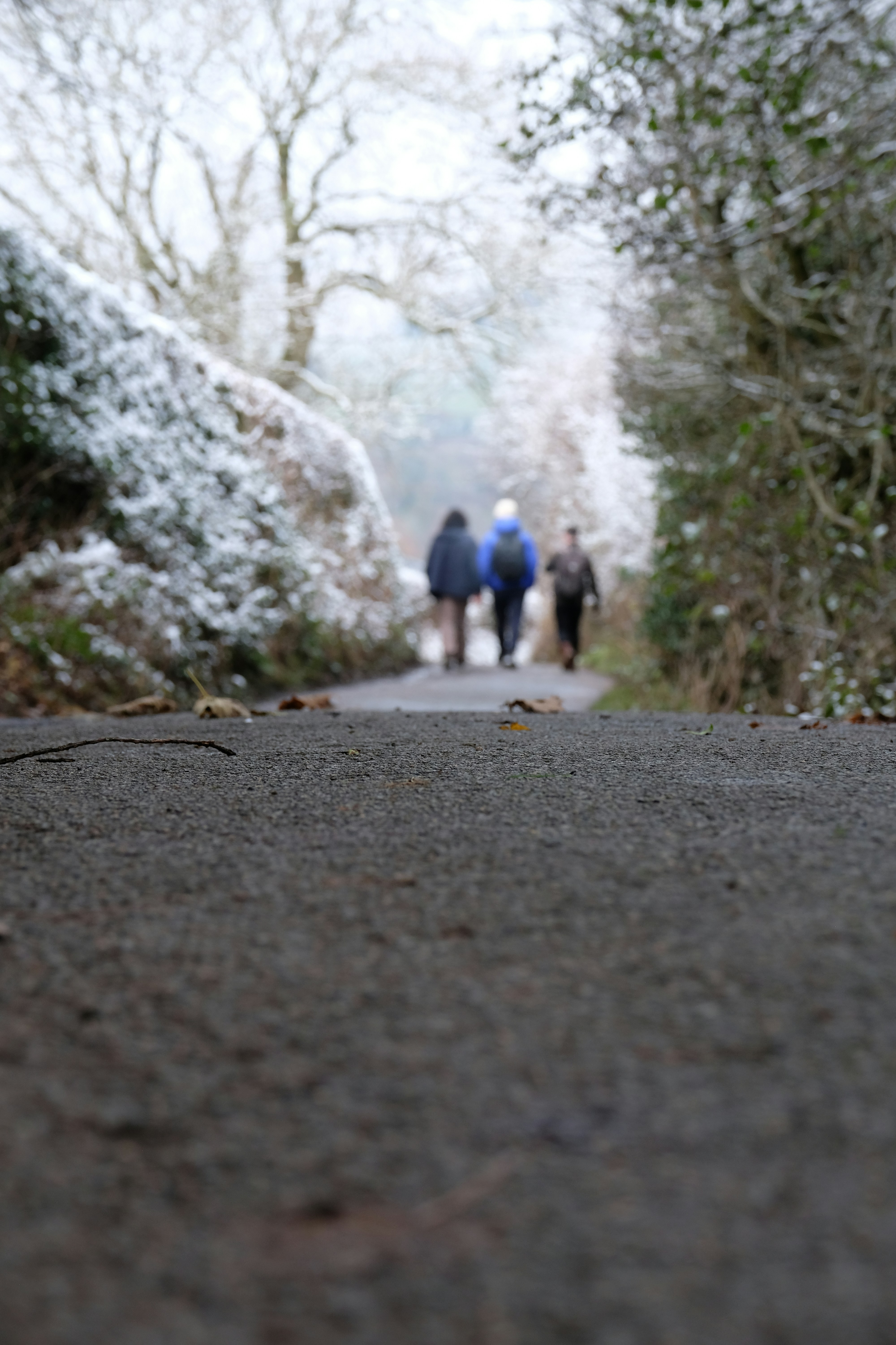 Foreshortened Winter Walk: Distant Figures on a Snow-Kissed Path