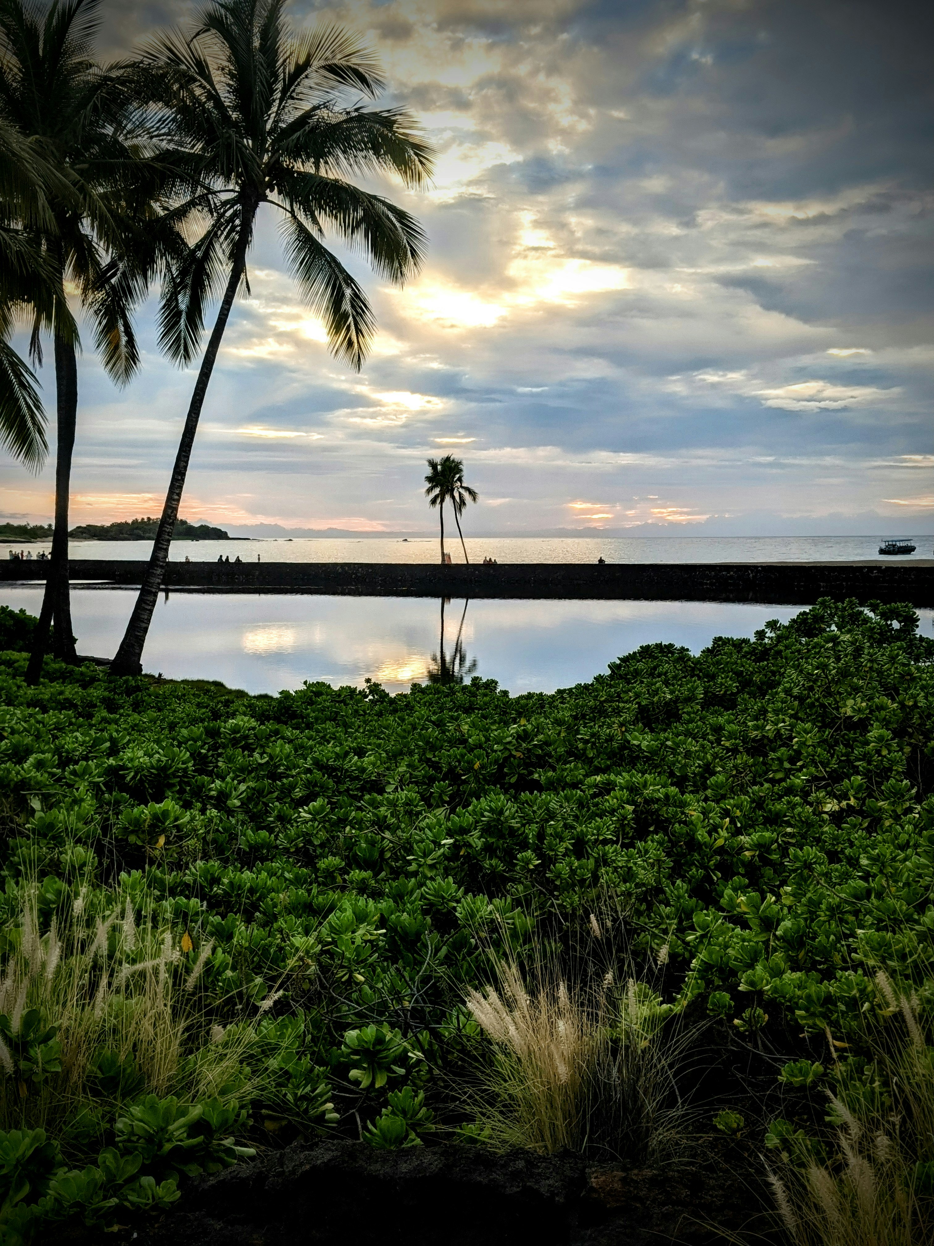 Horizon of Palm Shadows: Sunset Reflections over a Quiet Coastal Verge