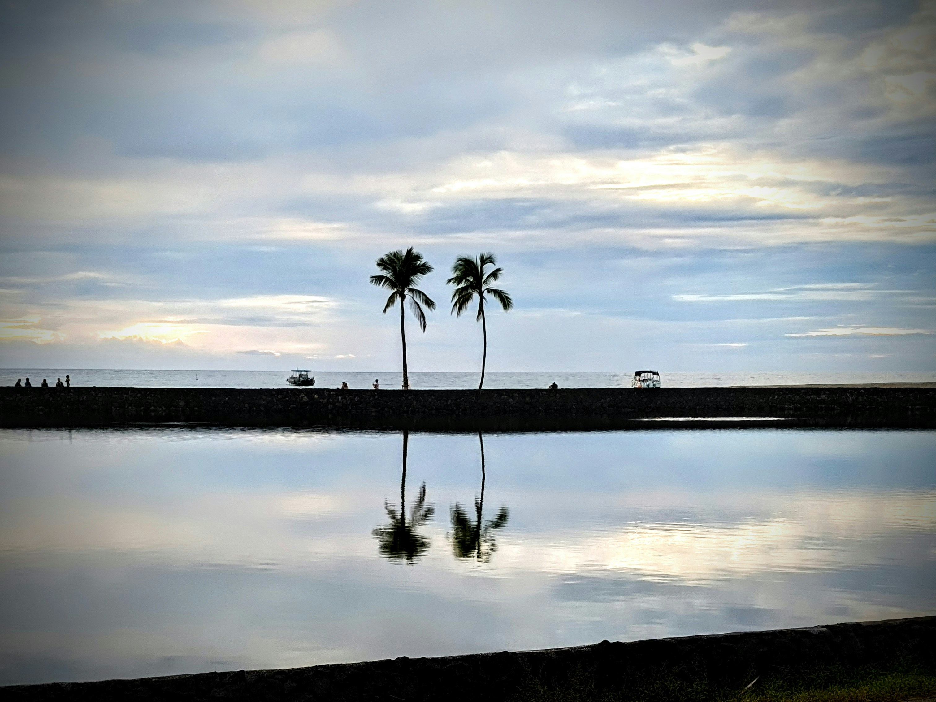 Twin Palms on a Quiet Horizon: Reflections on Glassy Water