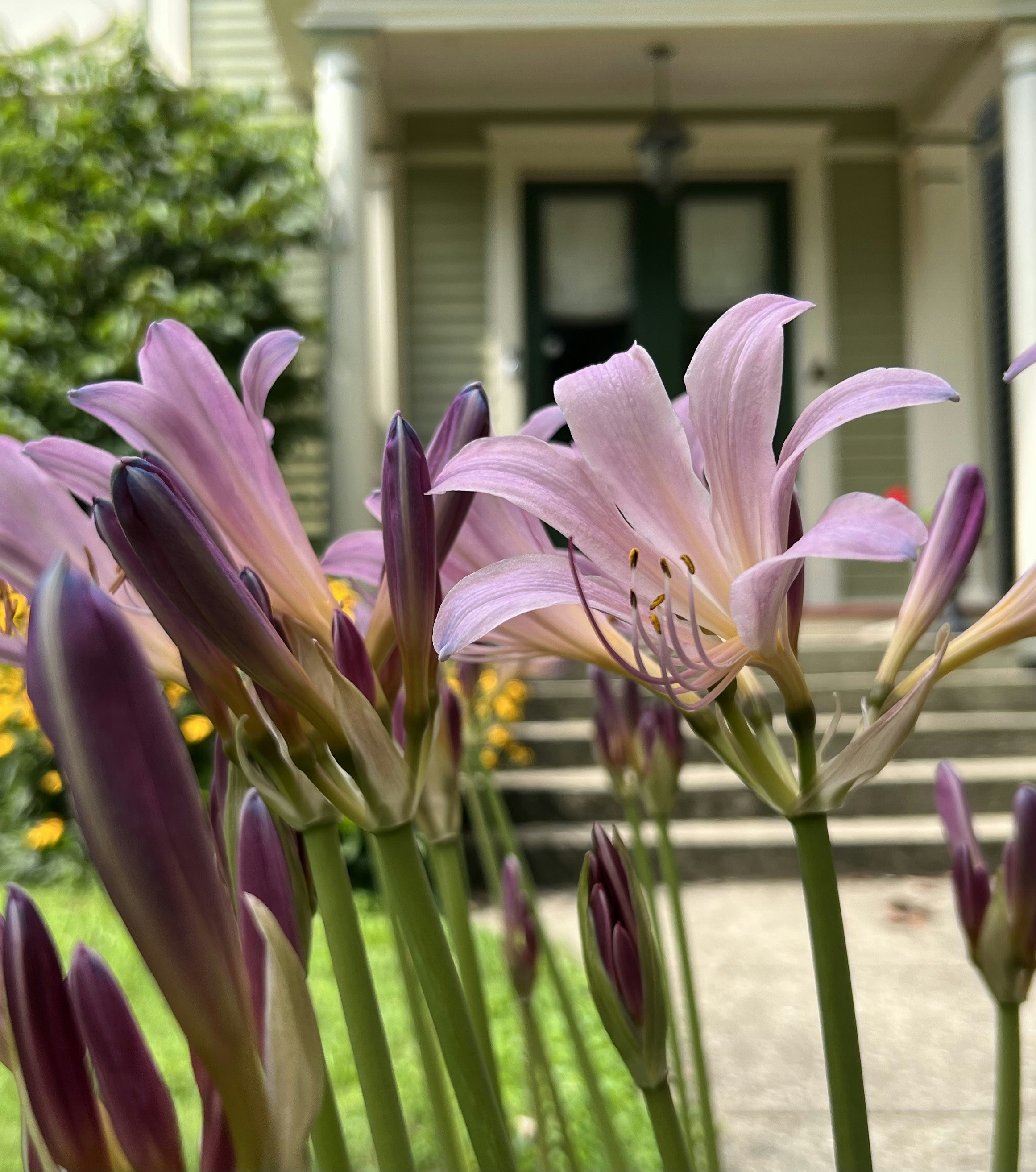 Jacob Middleton (@jacobmiddleton) | Unsplash Photo Community