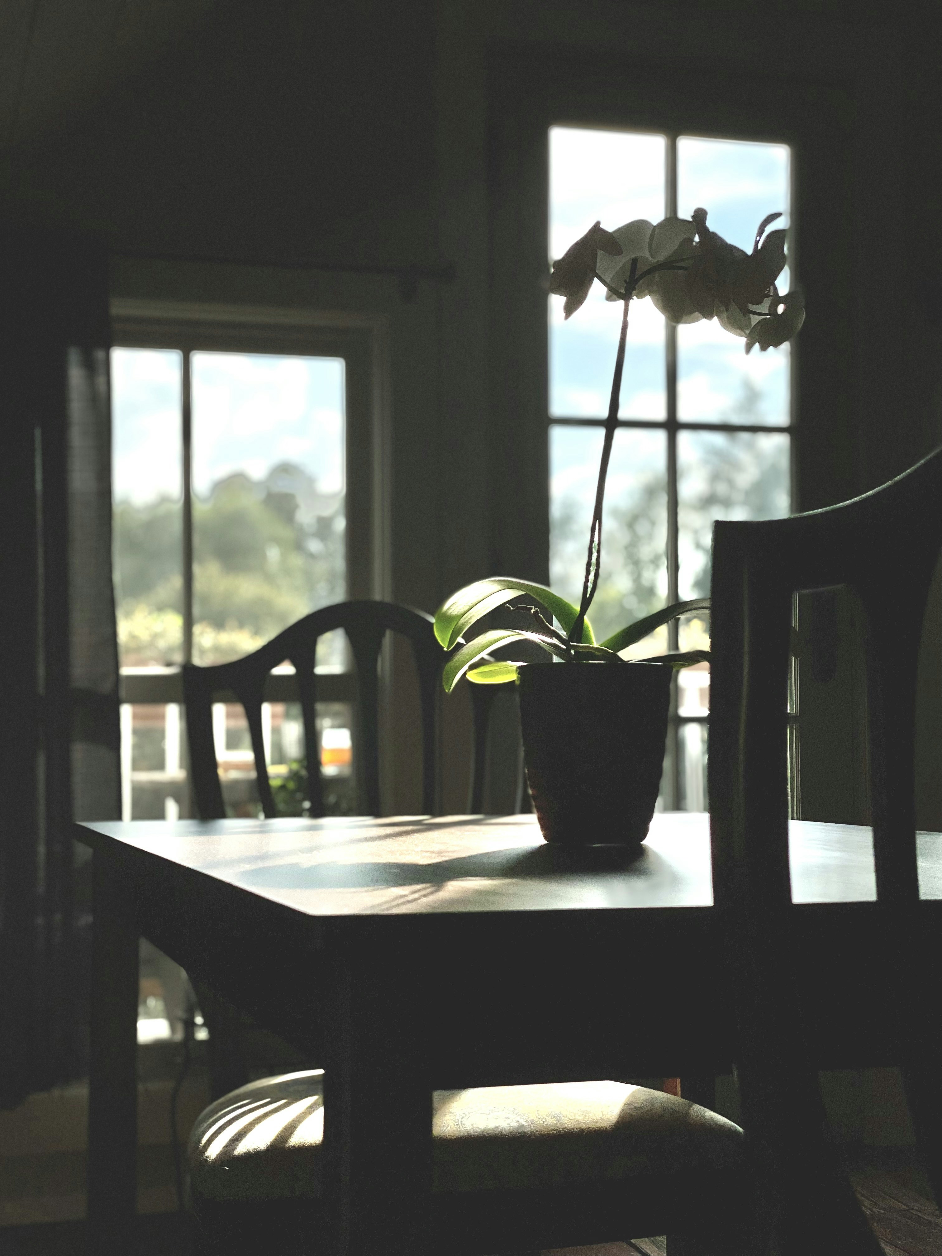 Jacob Middleton (@jacobmiddleton) | Unsplash Photo Community