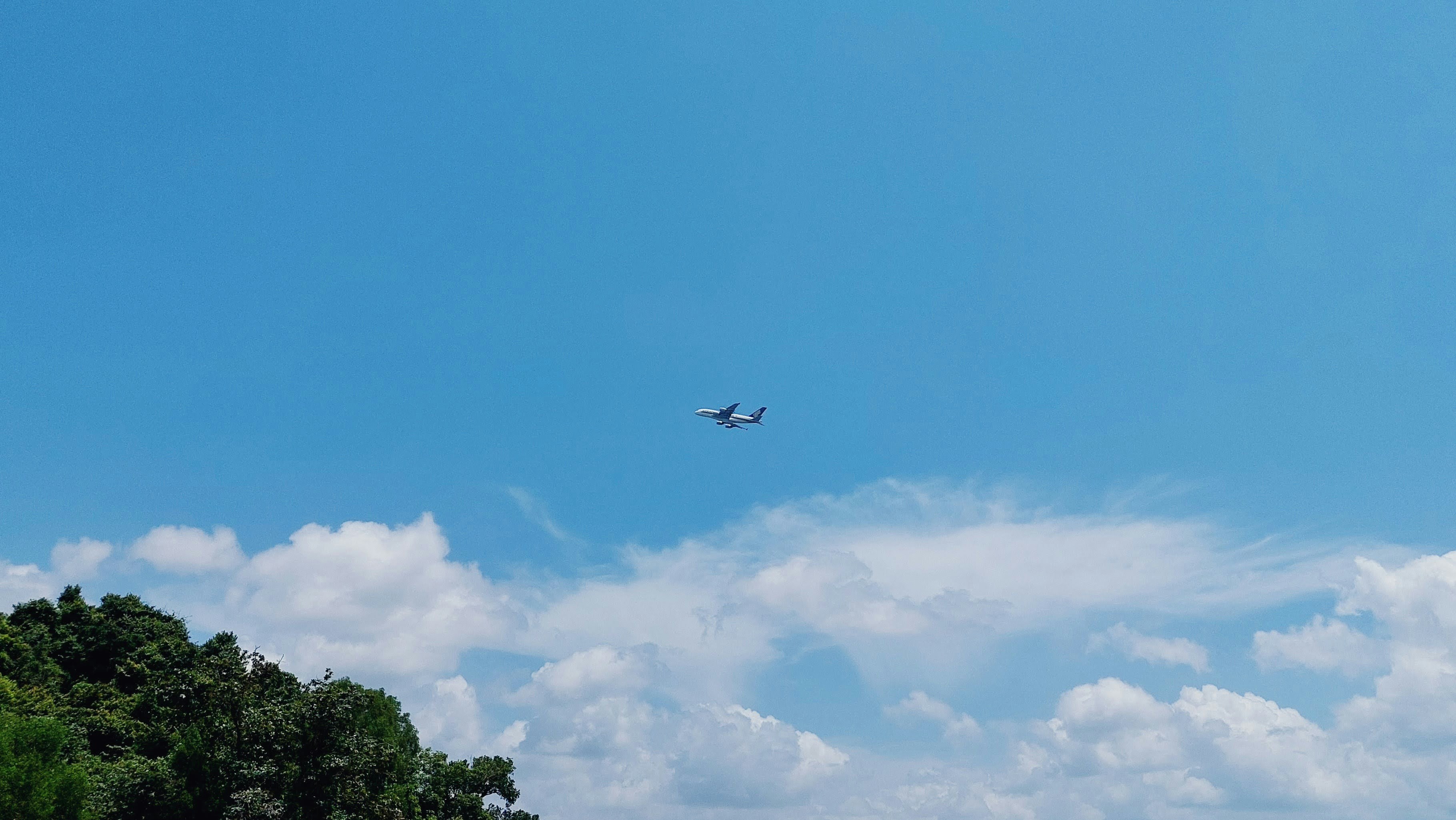 Un avión vuela alto en el cielo foto – Imagen de Pulau Ubin gratuita en ...