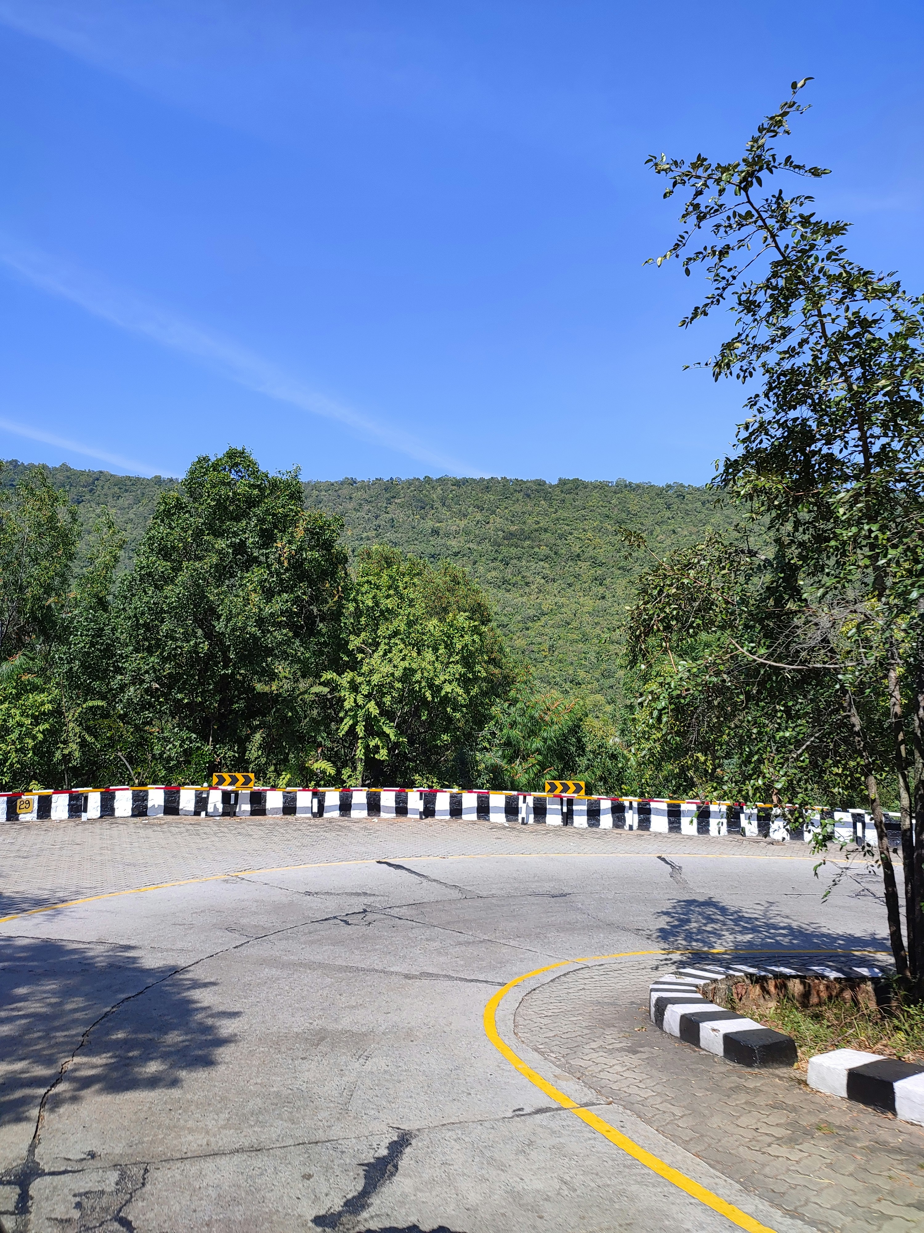 Sunlit road curve through a pine-lined hillside, with black-and-white guardrails guiding the bend under a clear blue sky.