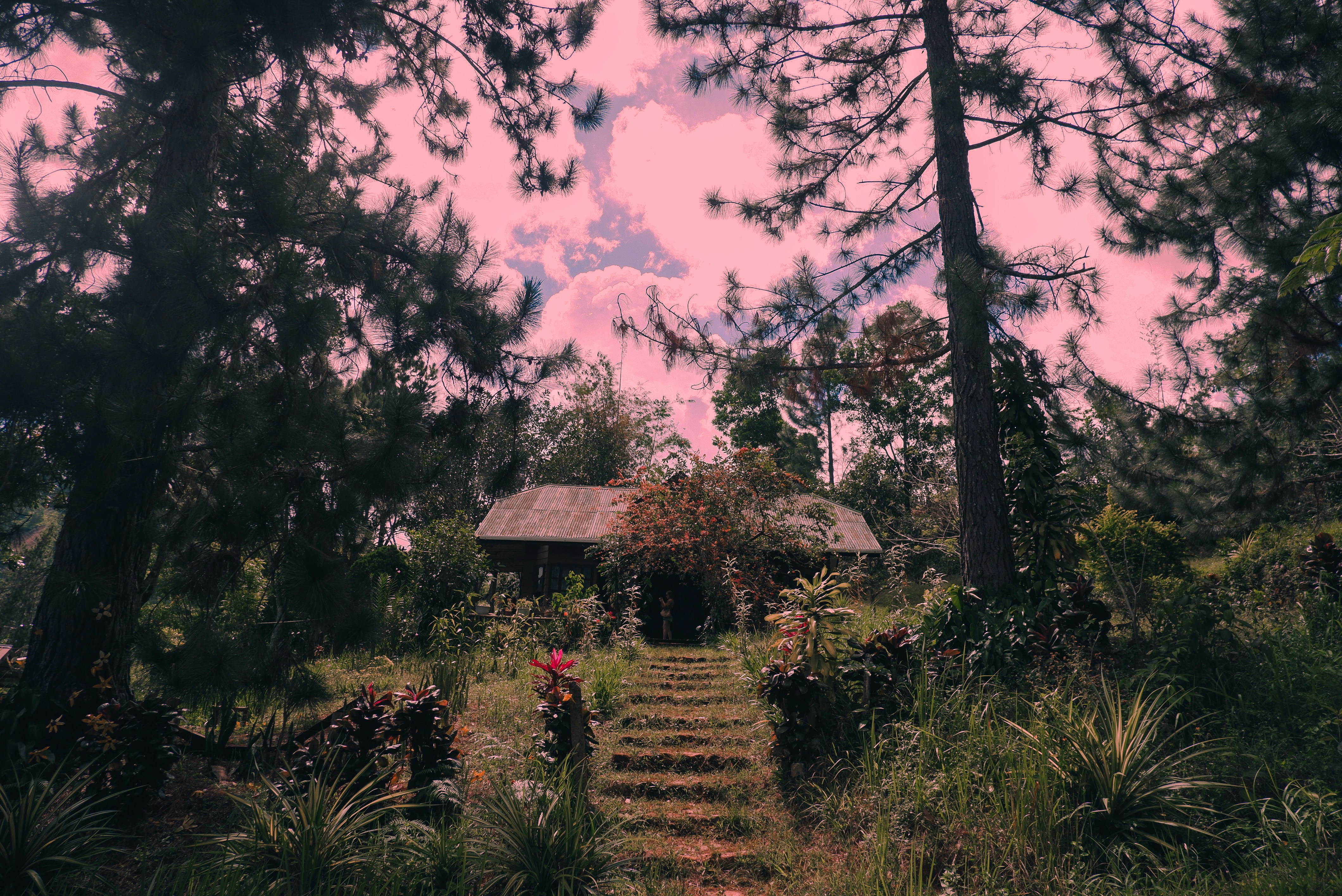 Steps to a Quiet Garden Cottage Under a Pink-Tinted Sky
