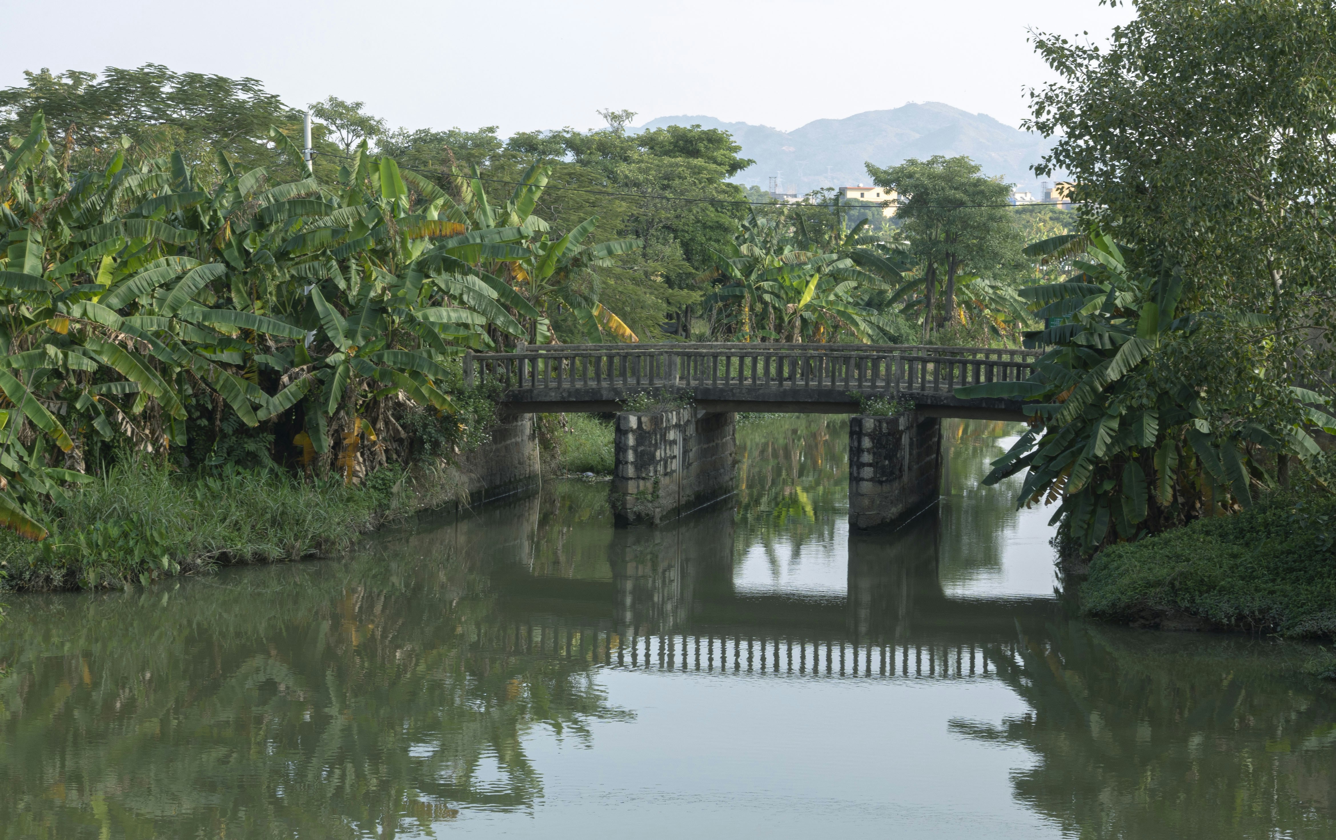 Bridge over Still Water: A Quiet Riverside Scene
