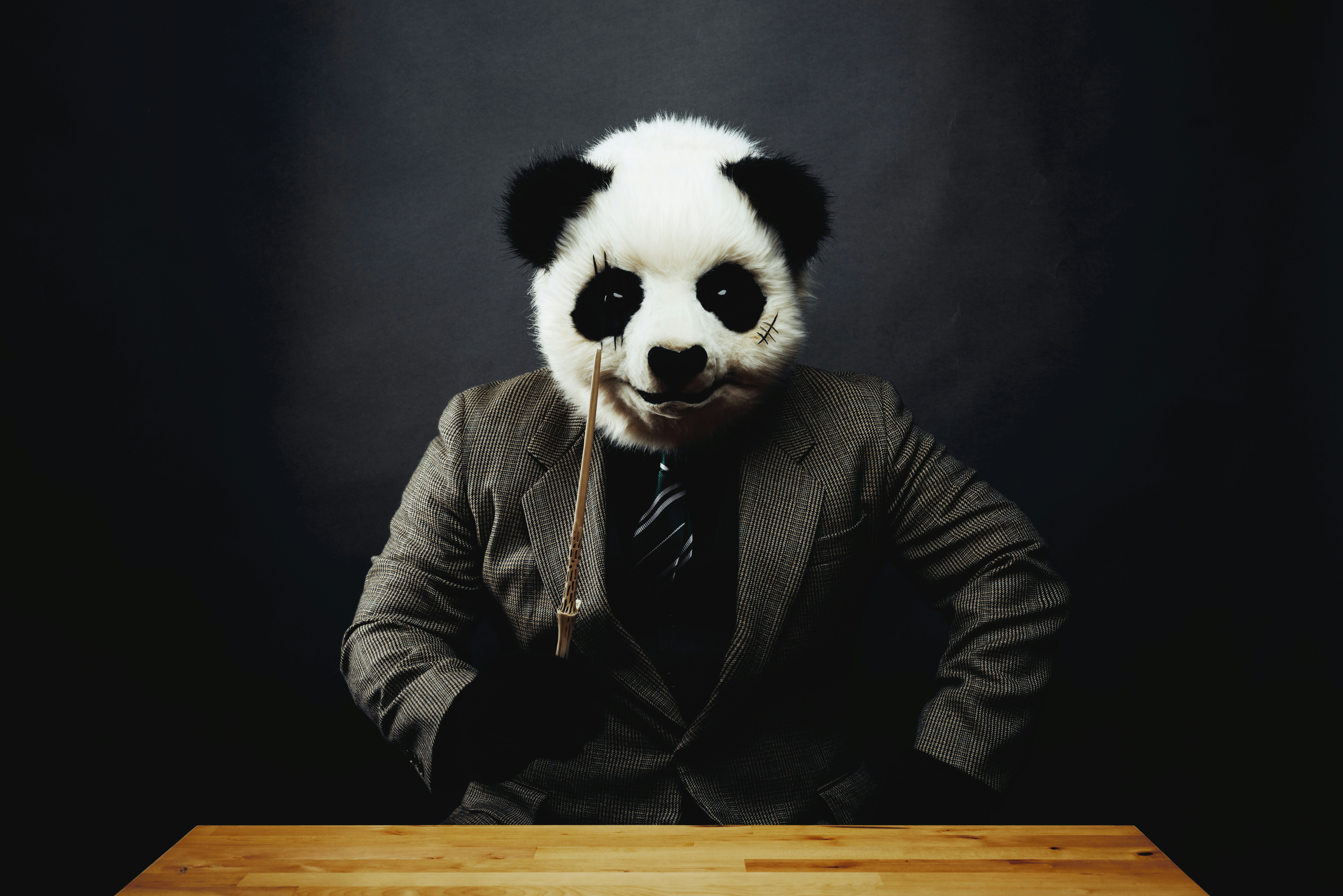 Photo by Preillumination SeTh with Nikon D810