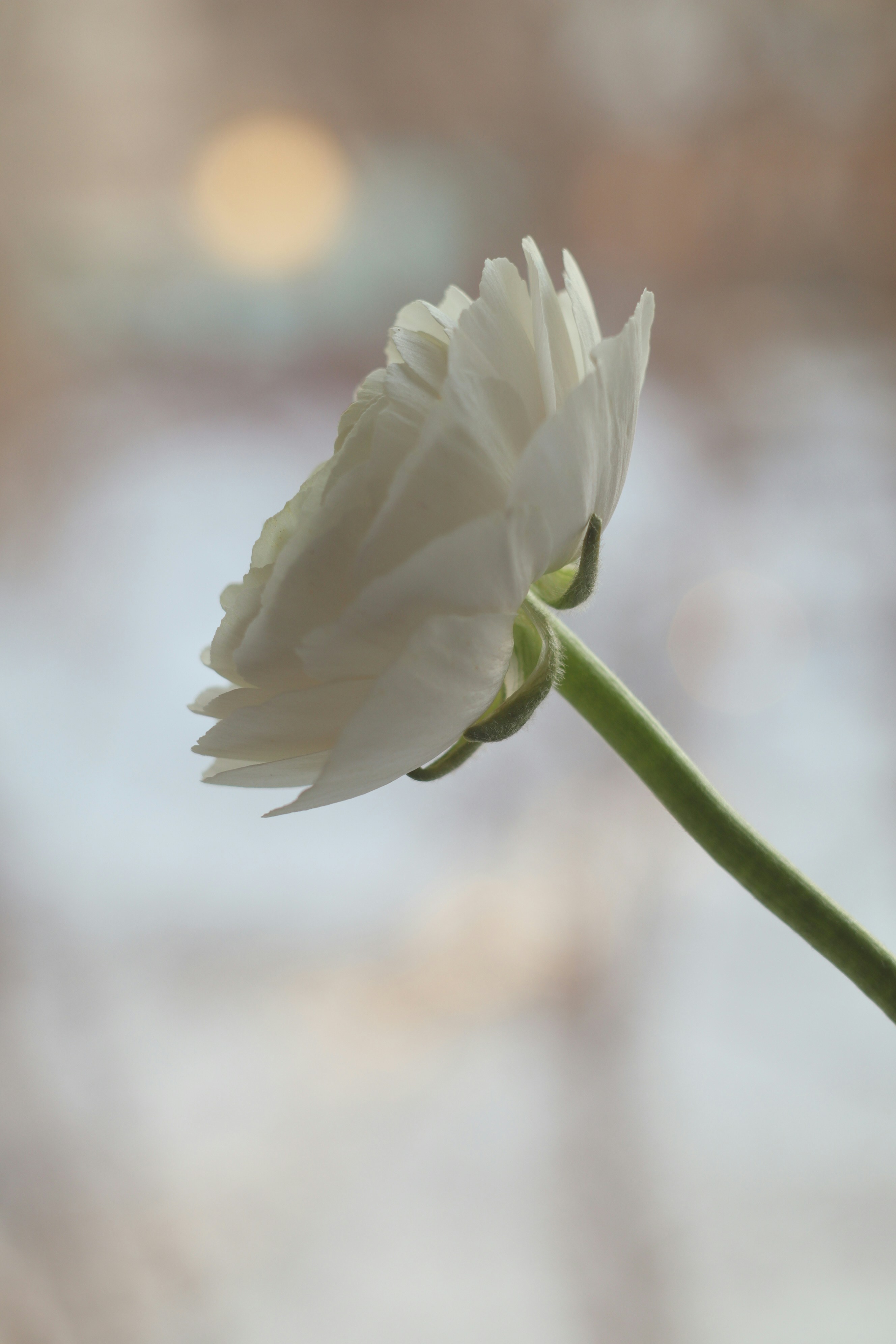 Photo by Nadiia Shuran with Canon EOS M50