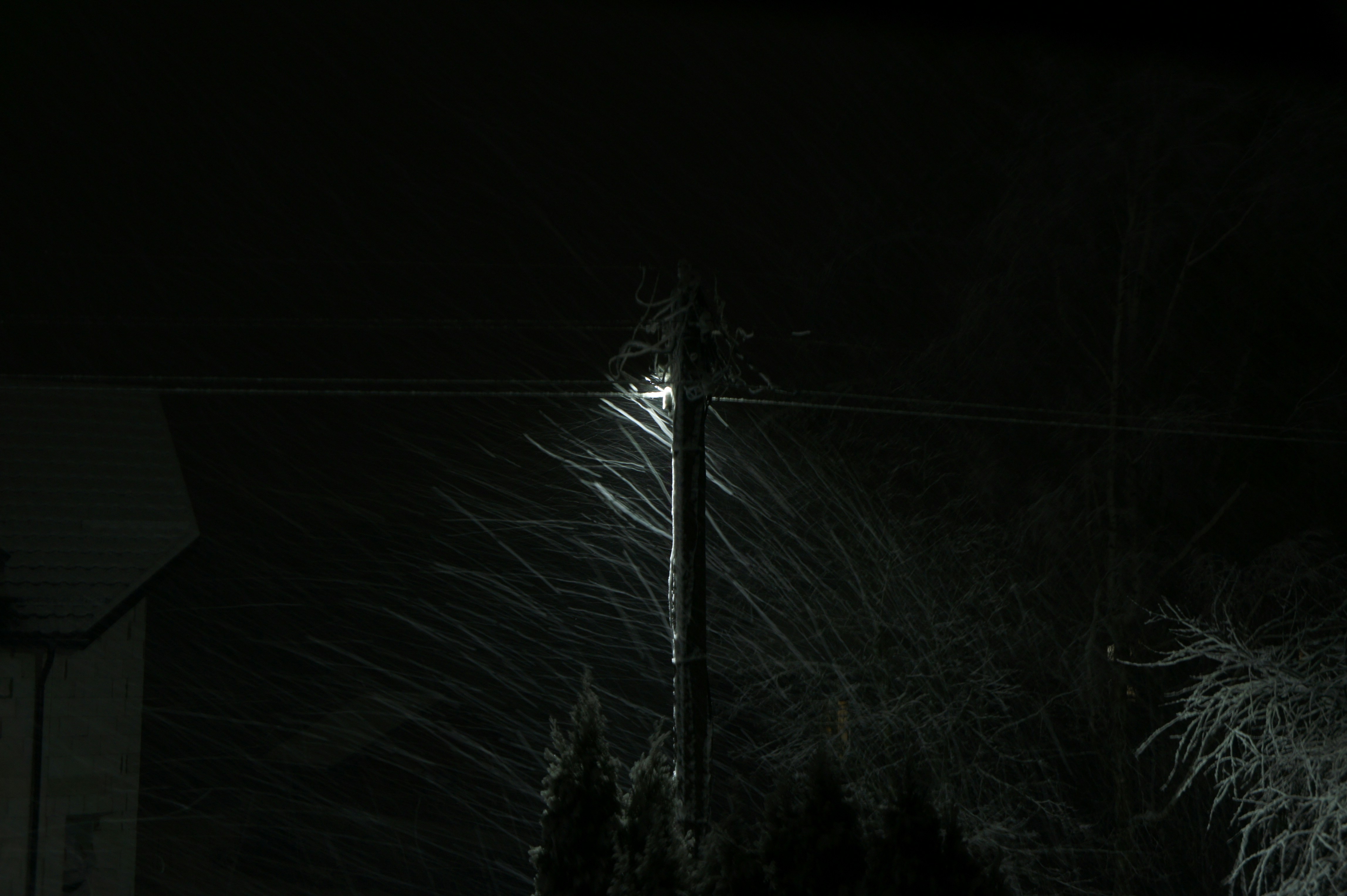 Solitary Streetlight Slicing Through Snowfall on a Quiet Night