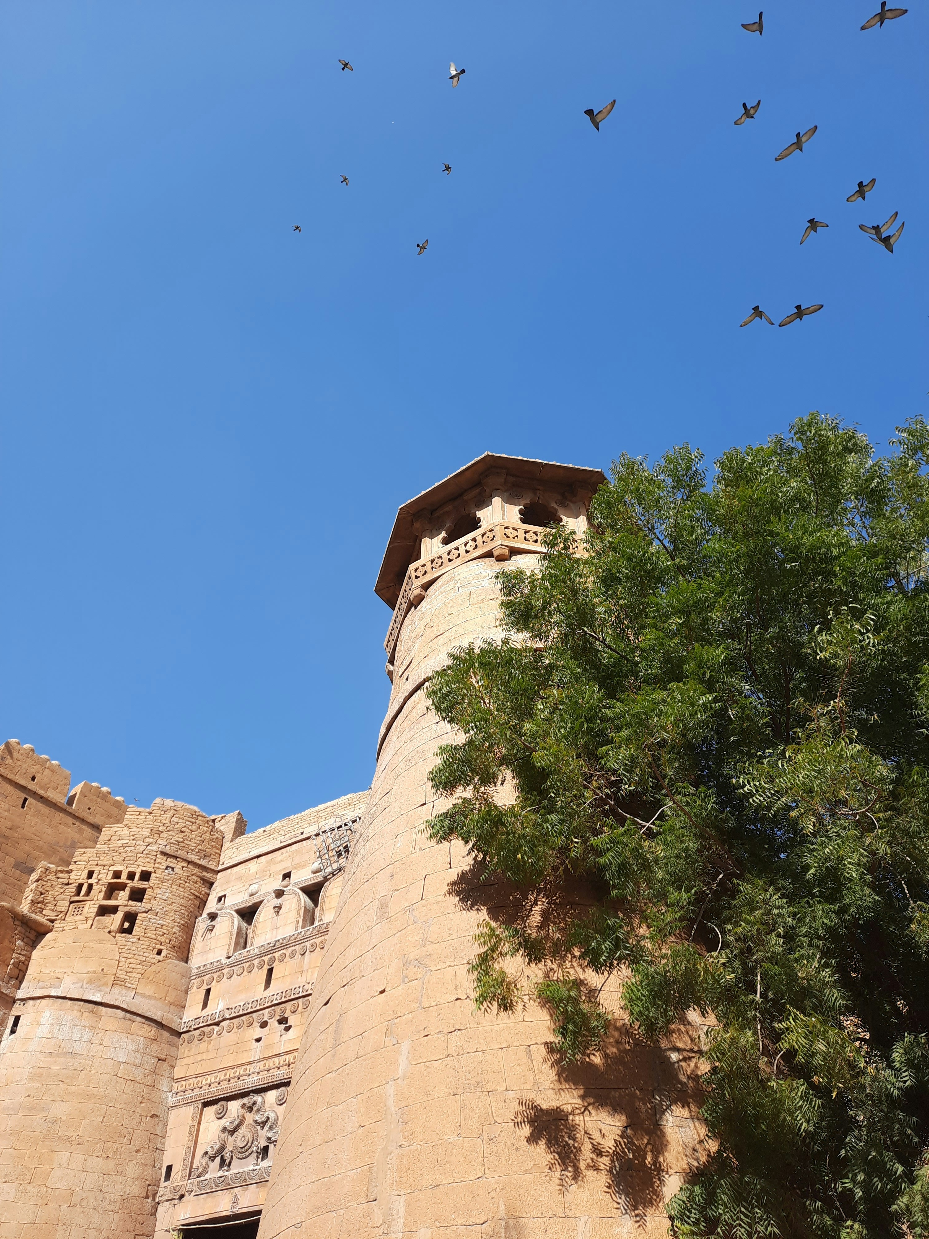 A photograph of a historic fortress tower rising beside a leafy tree under a clear blue sky. Birds wheel overhead, adding motion to the scene.