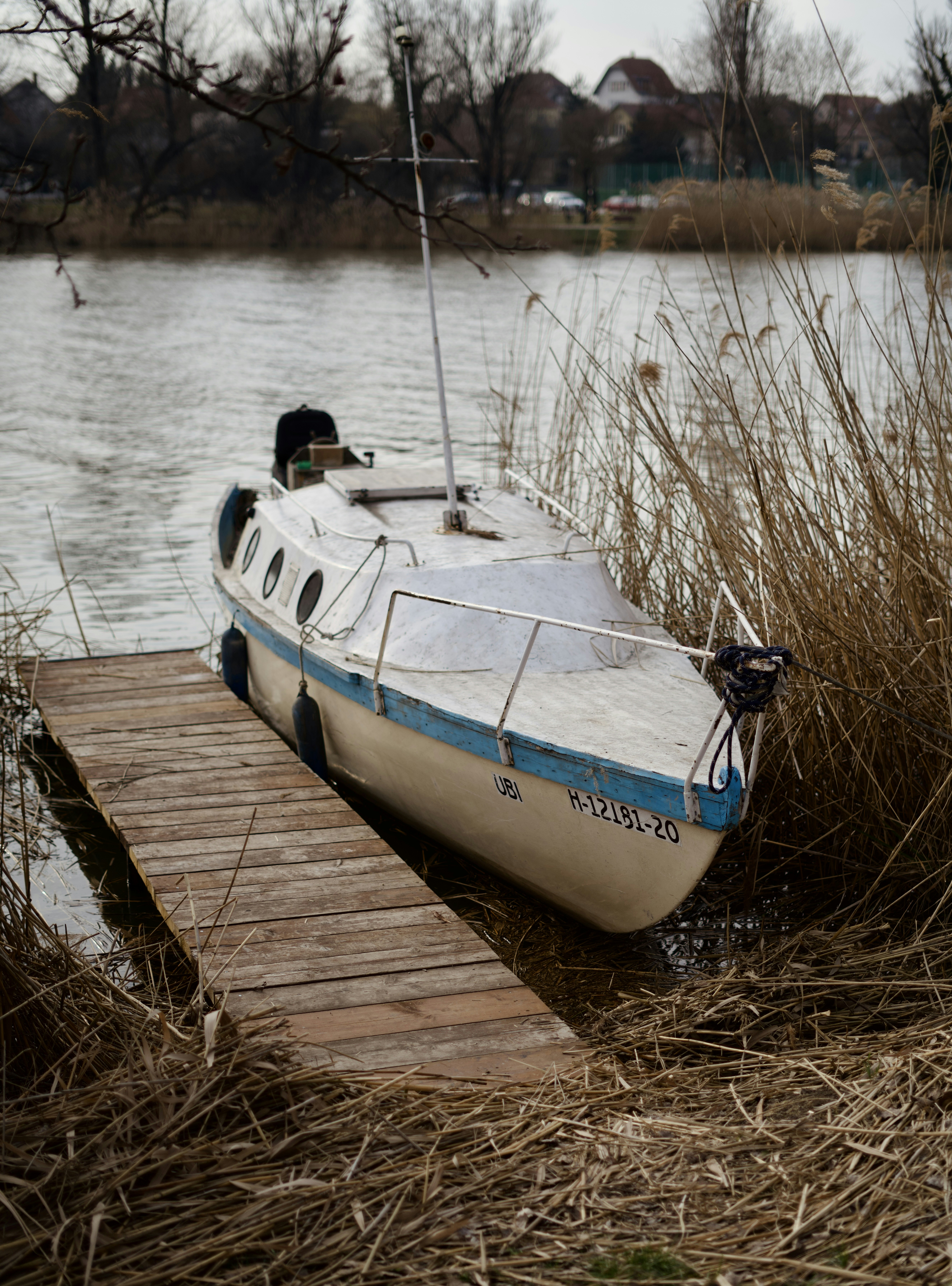 Abandoned sailboat resting beside a reed-filled shoreline