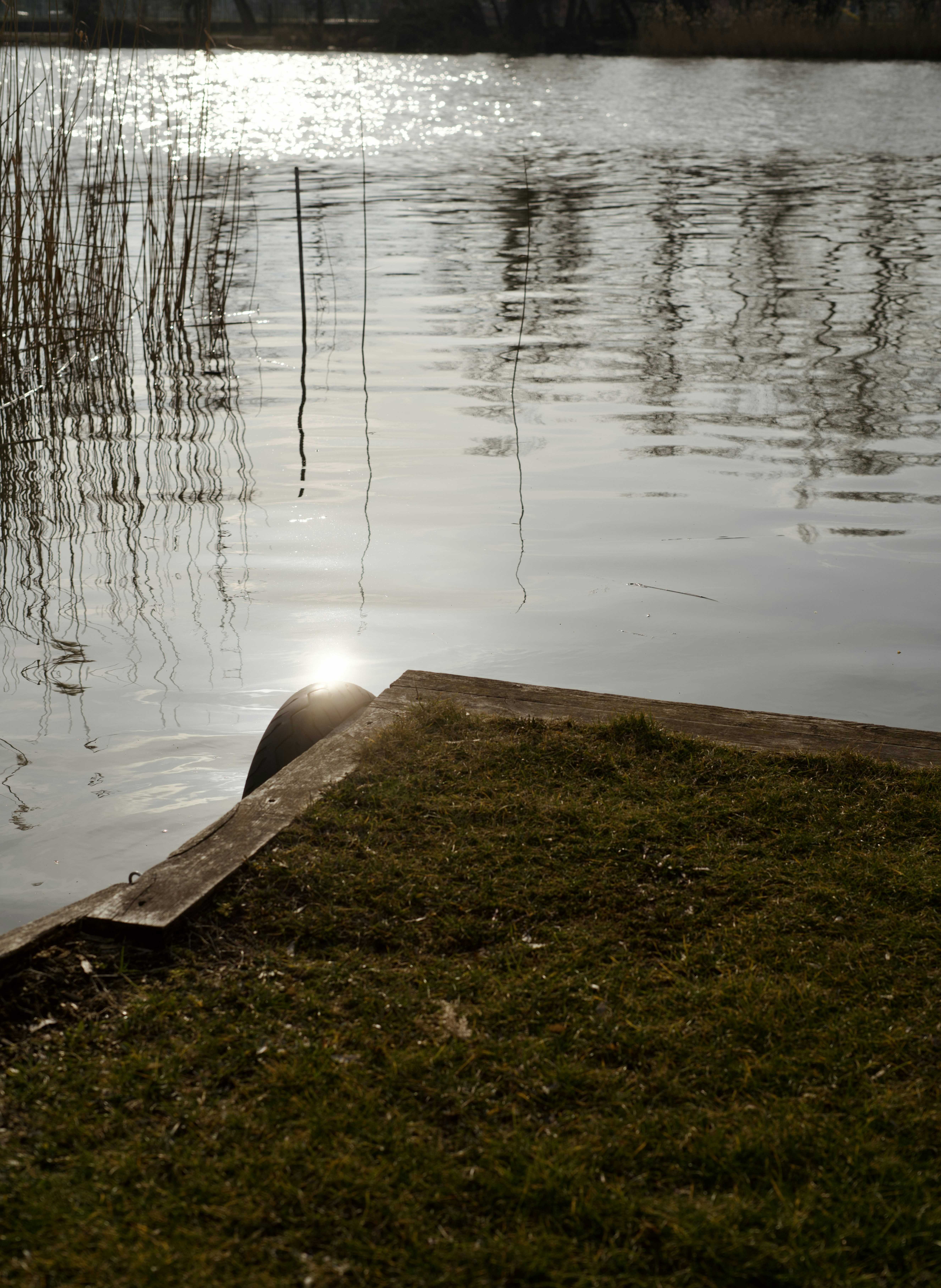 Sunlit Edge: A Quiet Moment by the Water