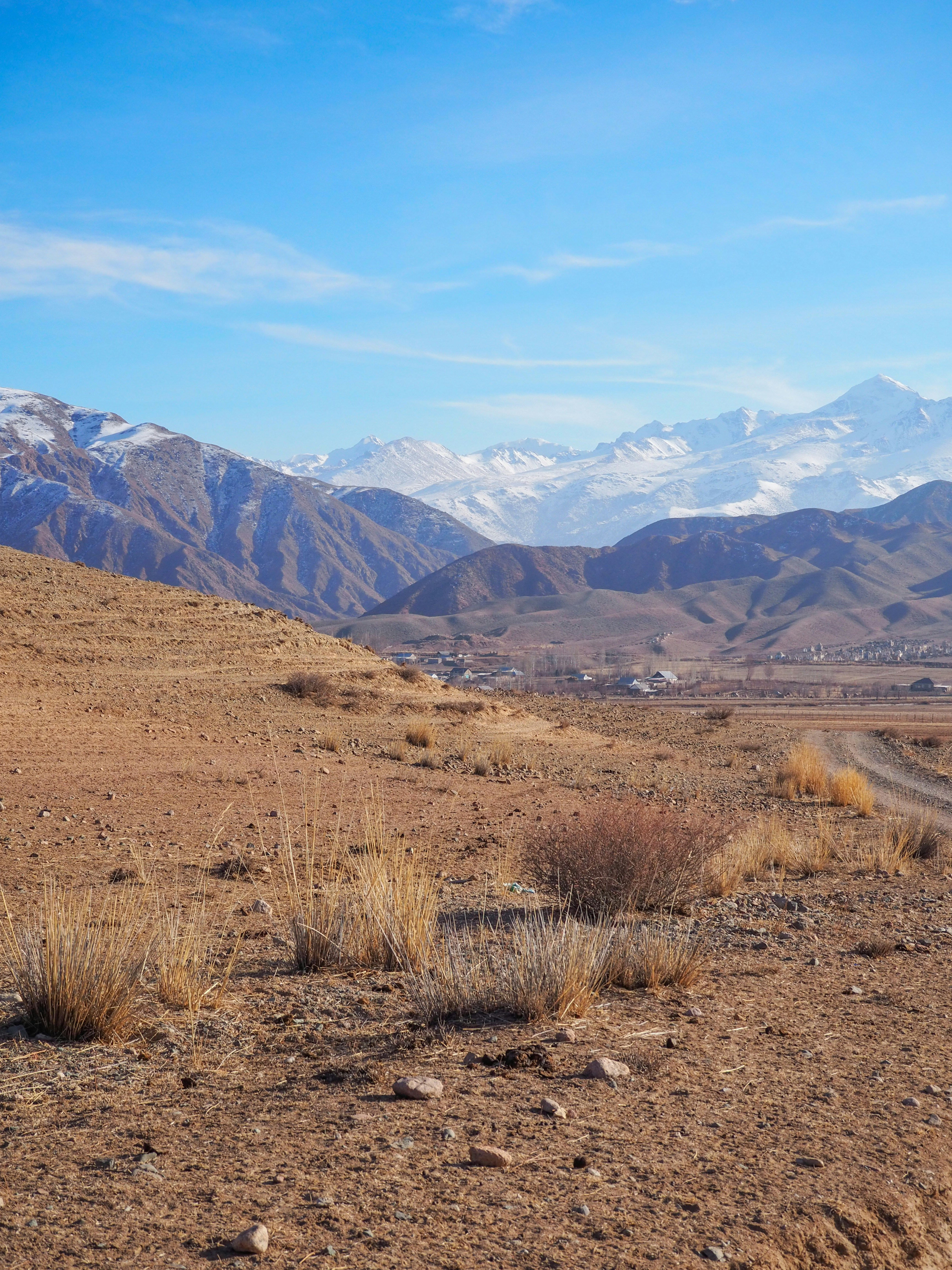 Arid landscape with sparse vegetation leading to distant snow-capped mountains under a clear blue sky.
