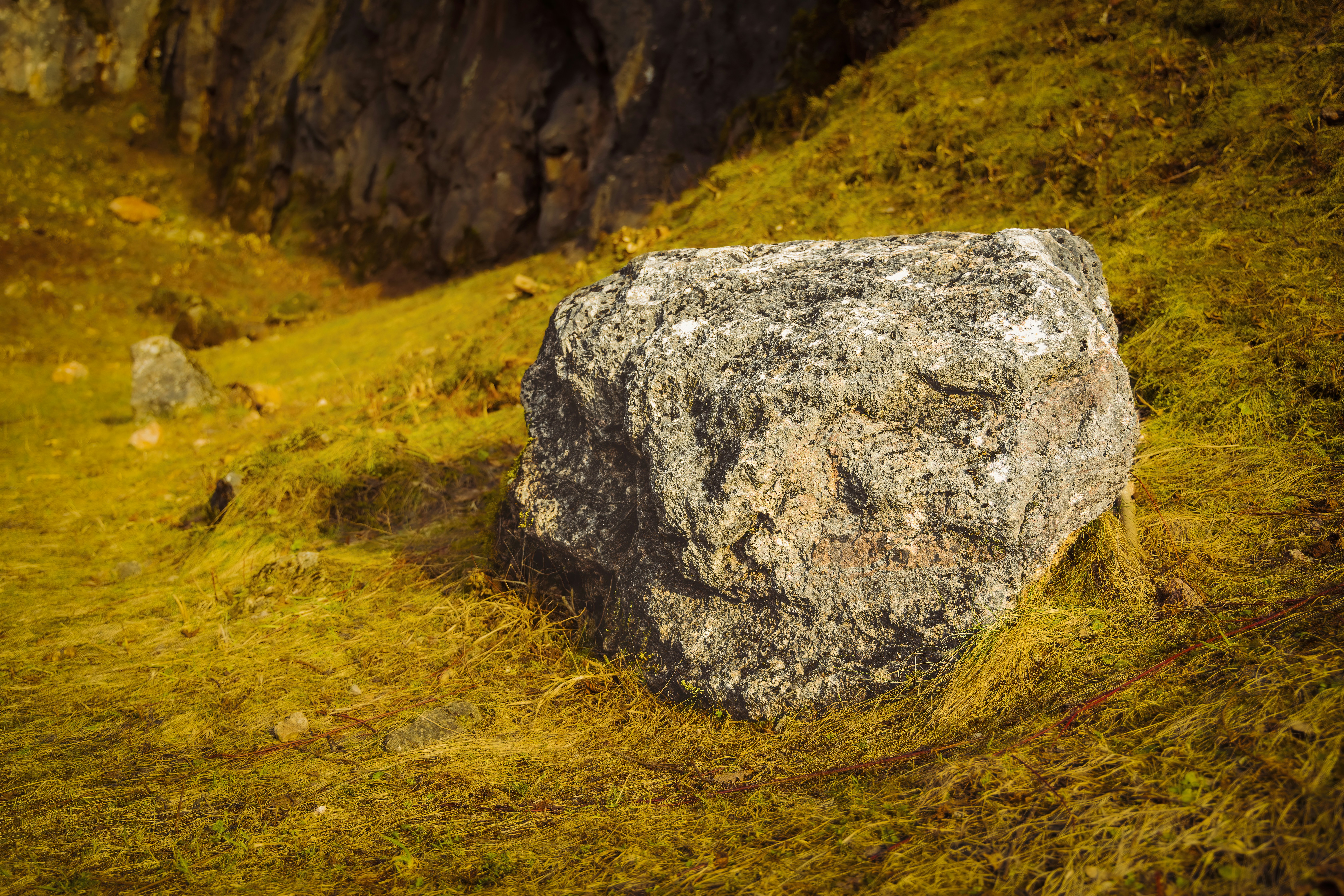 un gros rocher assis au sommet d’une colline verdoyante photo – Photo ...