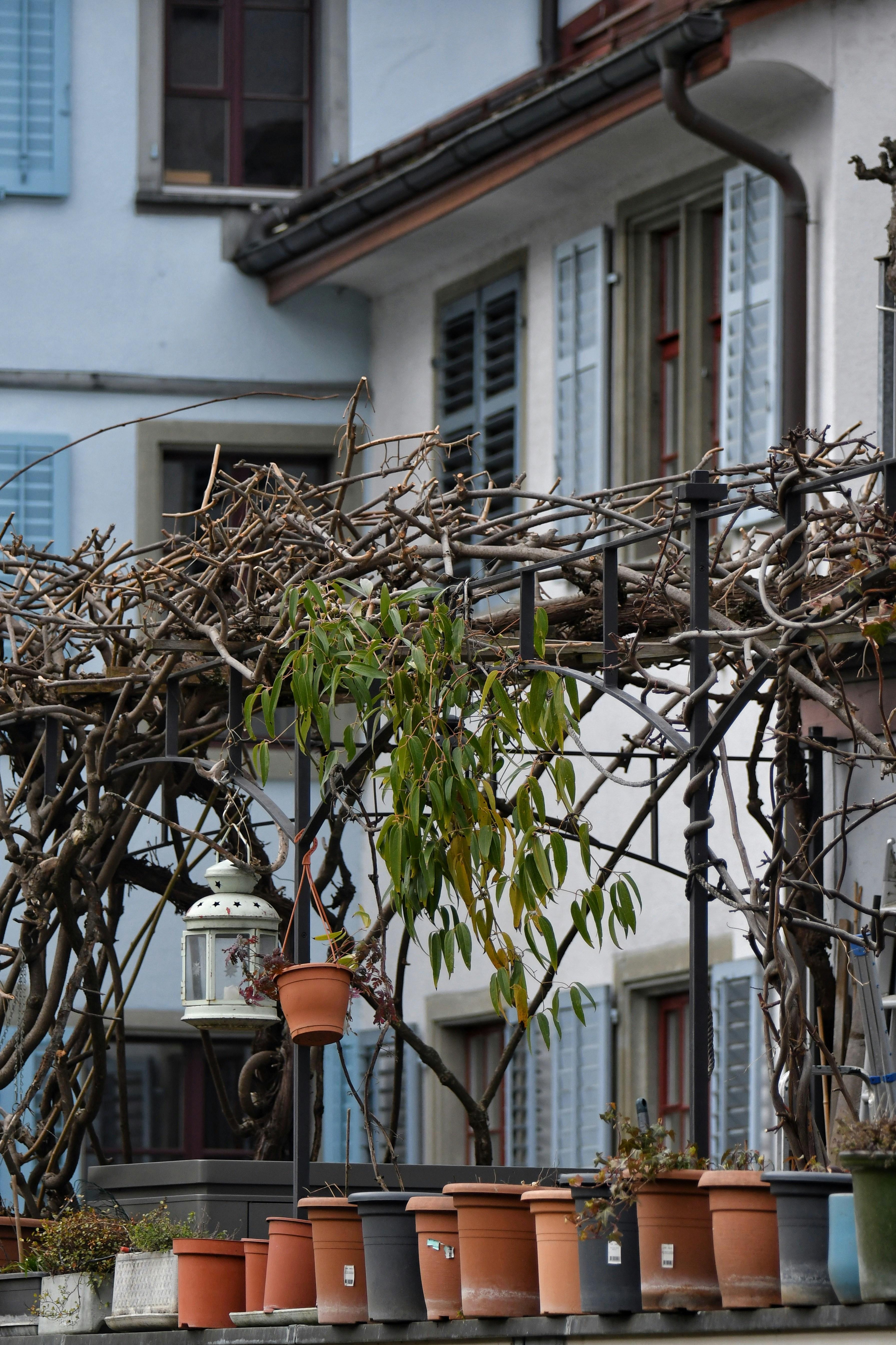 a bunch of potted plants sitting outside of a building