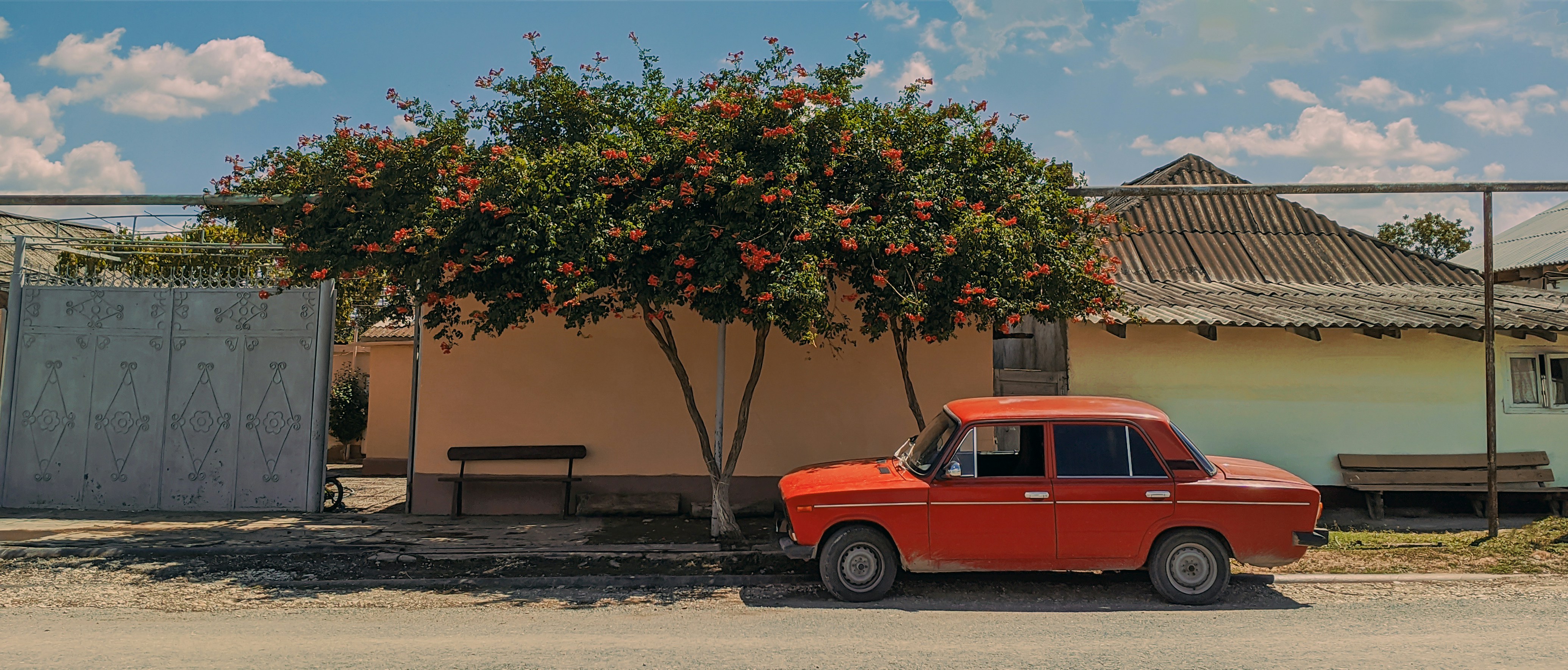 Old Red Car, Quiet Street, and Blooming Tree
