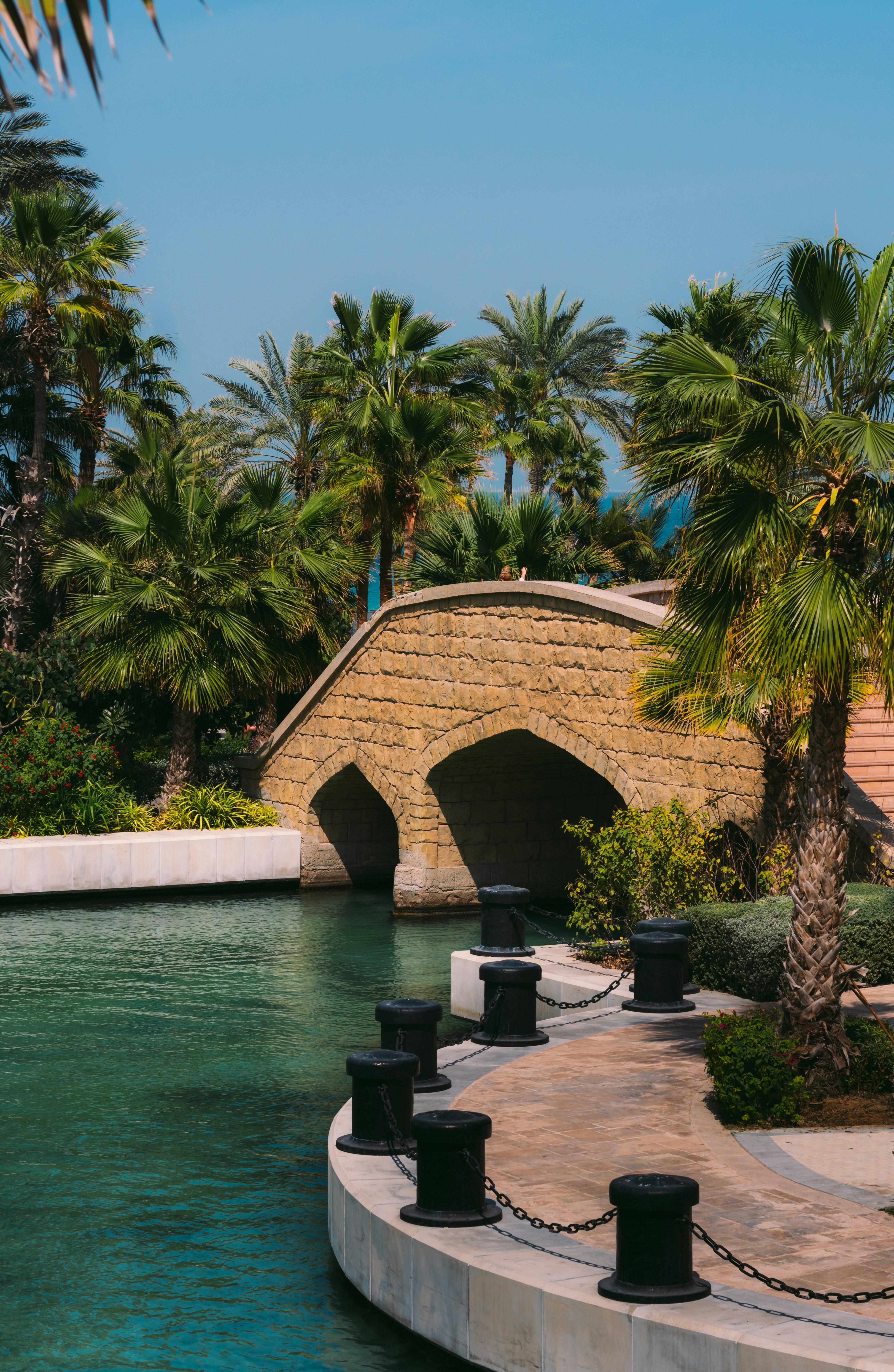 A bridge over a body of water surrounded by palm trees photo – Free ...