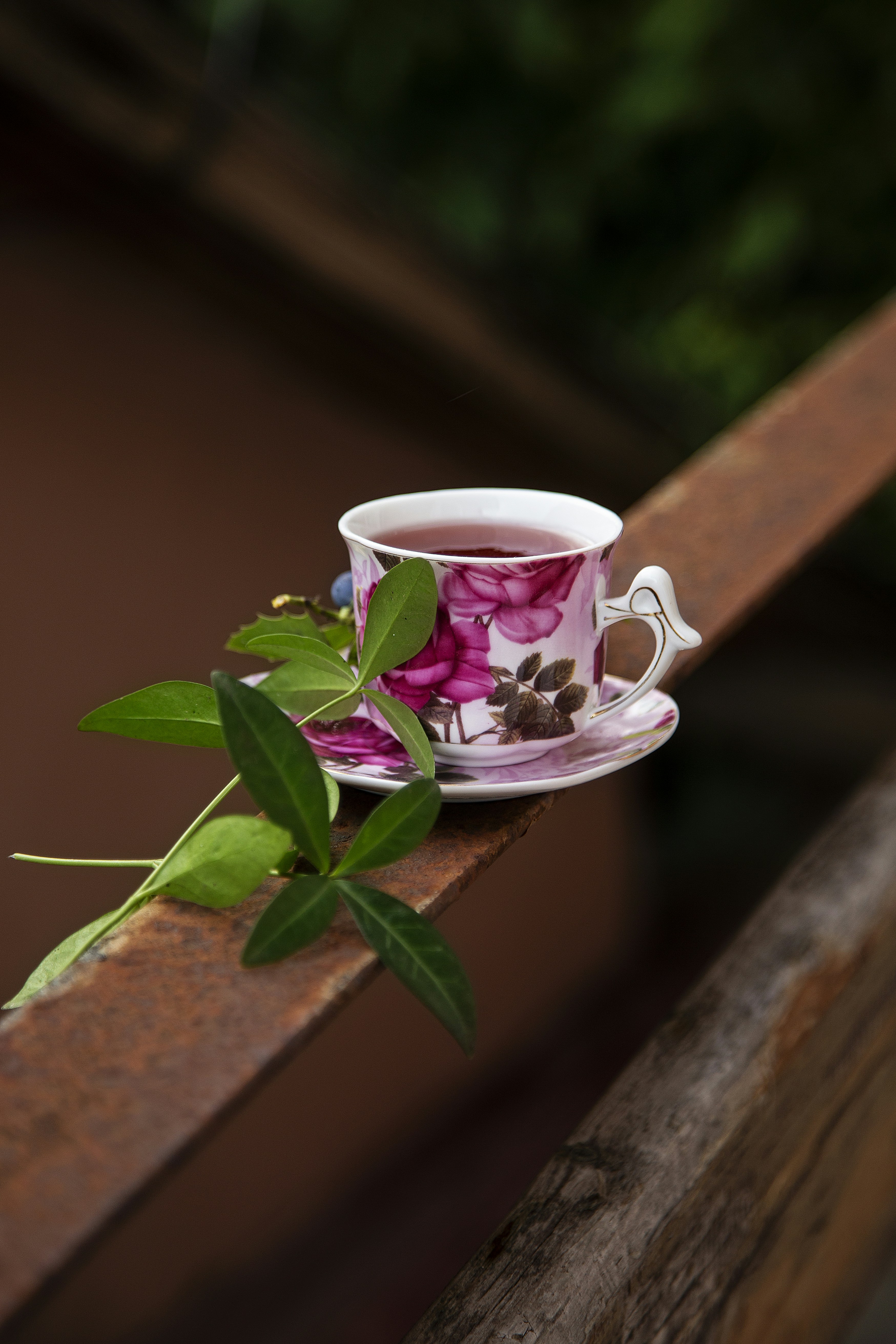 Teacup on a Rusting Rail: A Quiet Botanical Moment