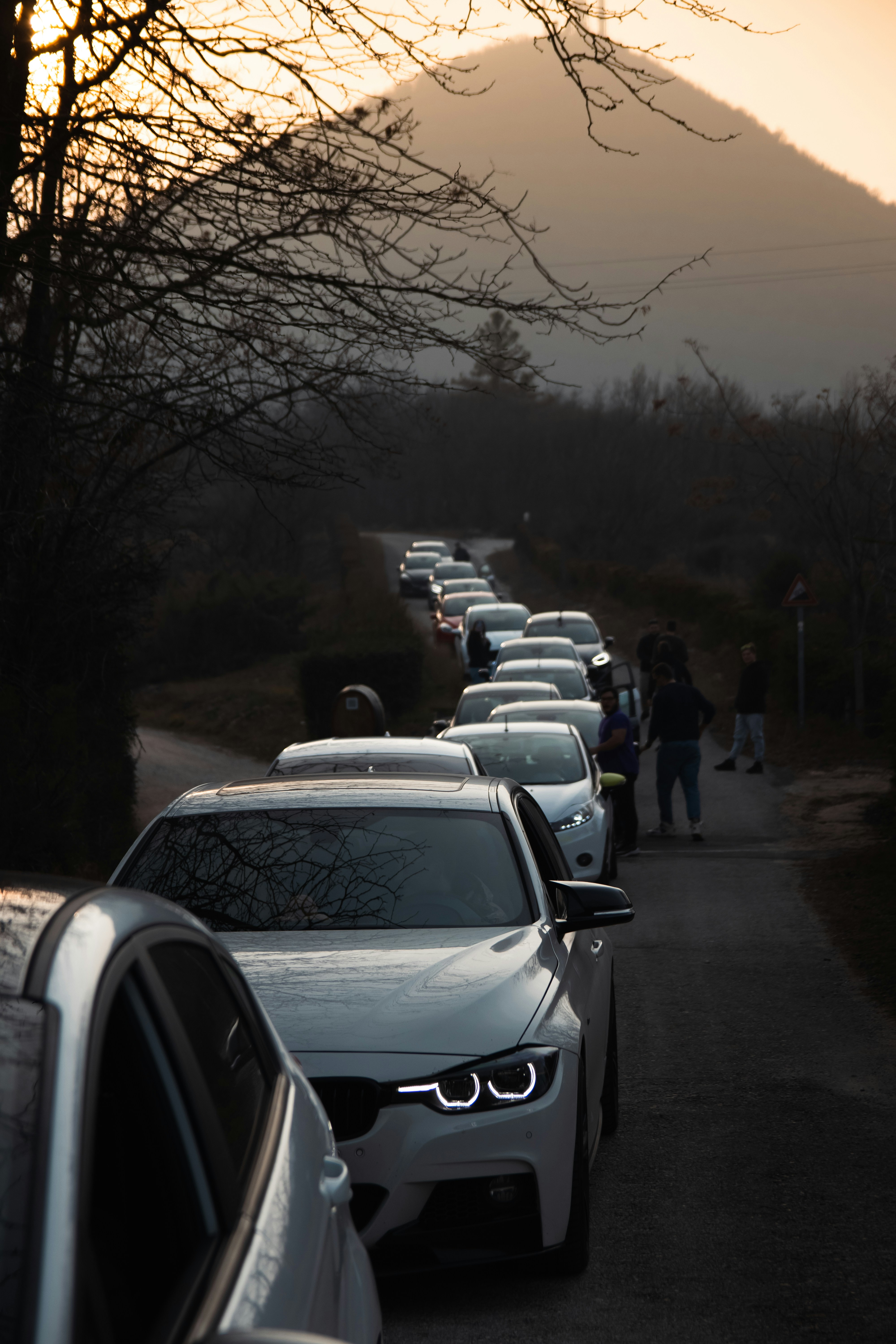Dusk Convoy: A Quiet Line of Cars Winding Along a Country Road
