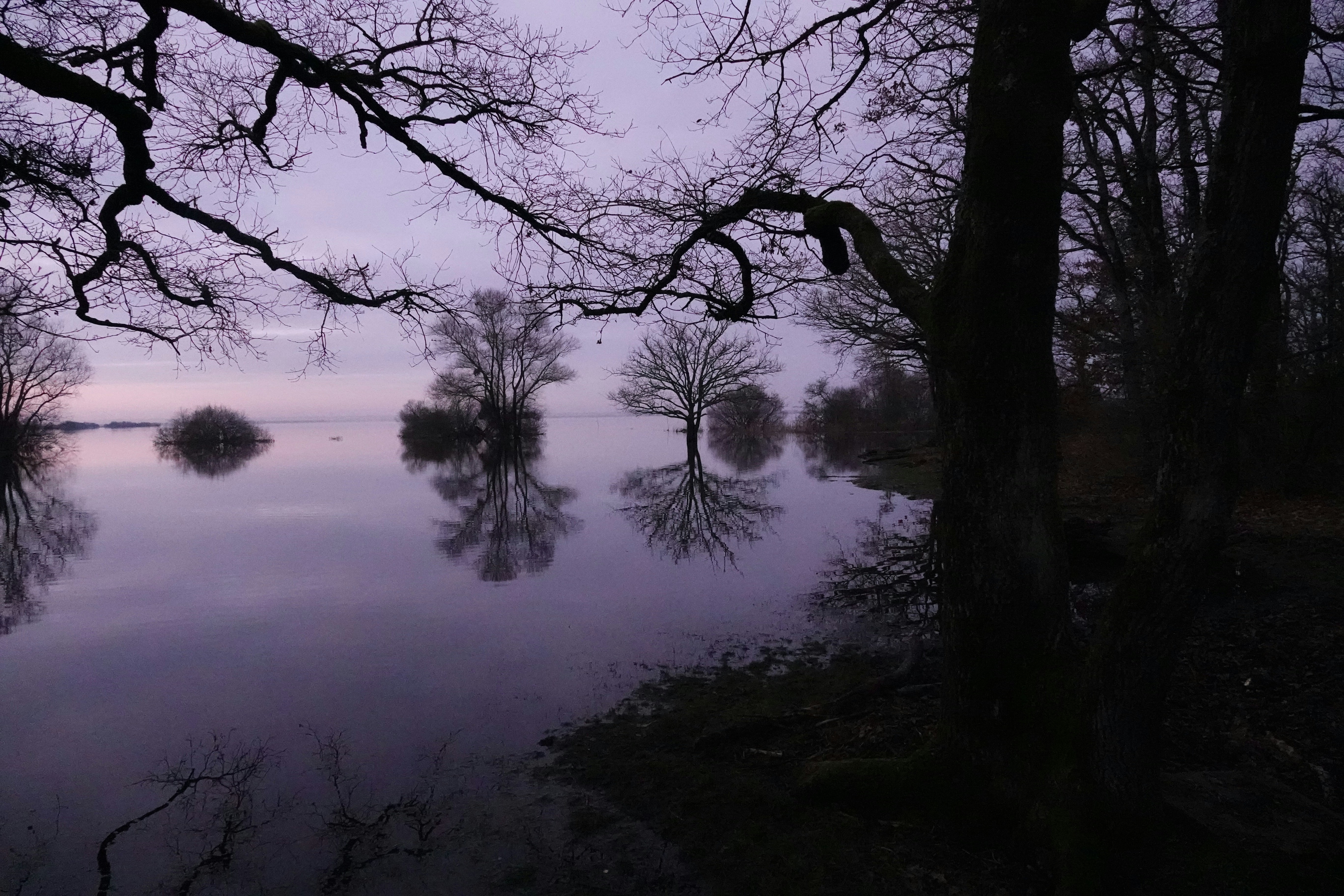 A body of water surrounded by trees and bushes photo – Free Lac de ...