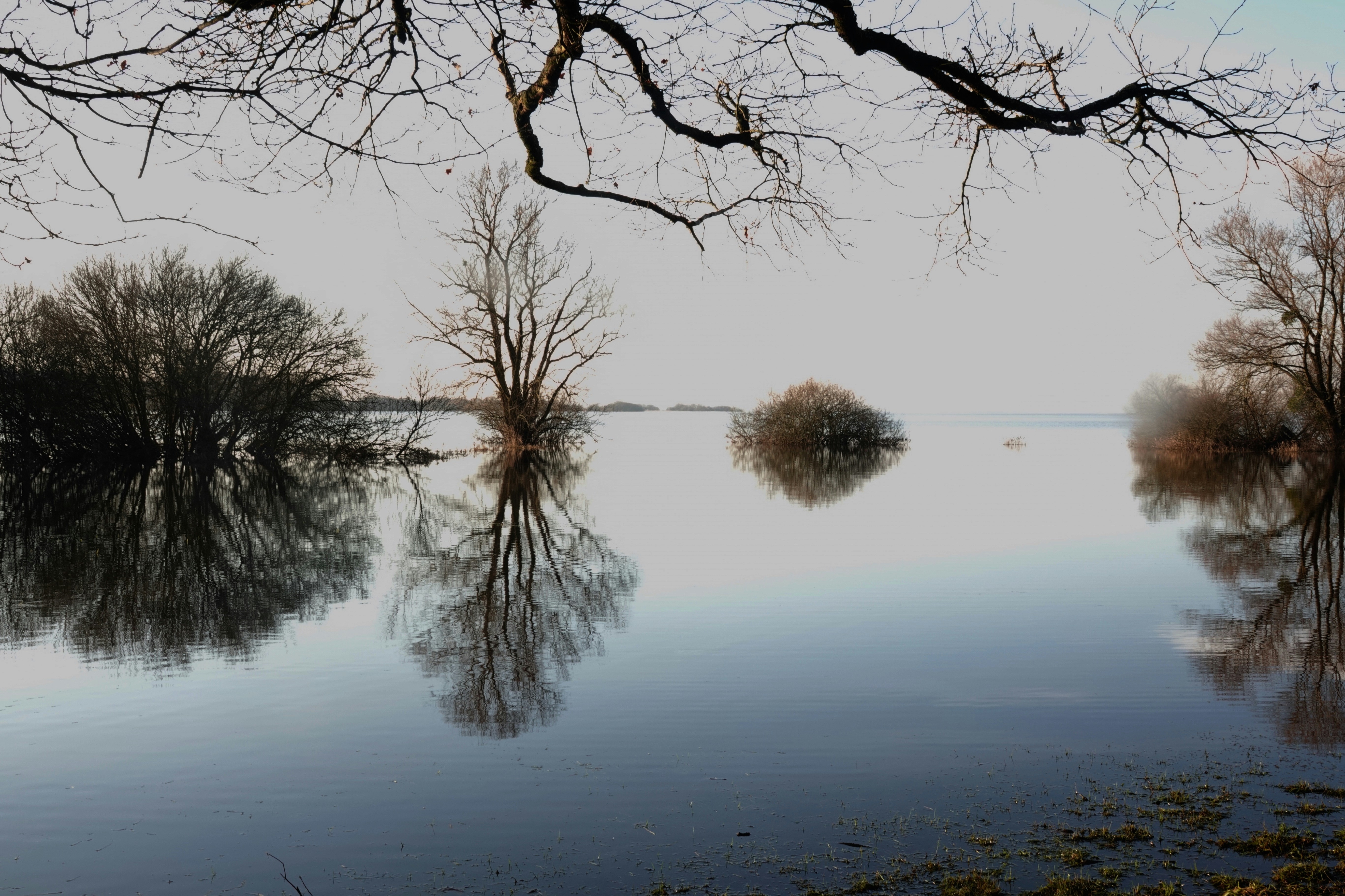 A large body of water surrounded by trees photo – Free Lac de grand ...