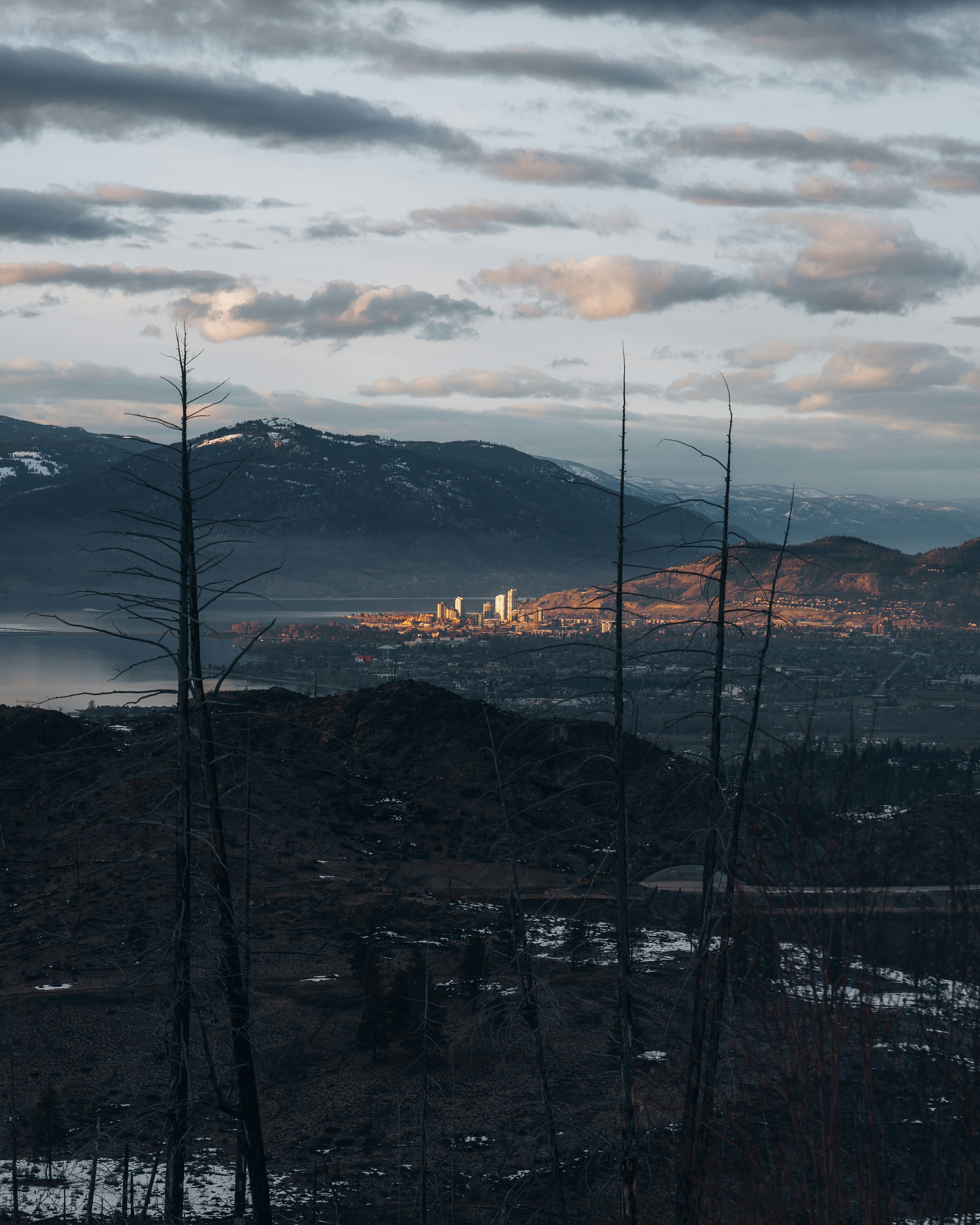 Whispers of the Past: A City Emerges from the Shadows