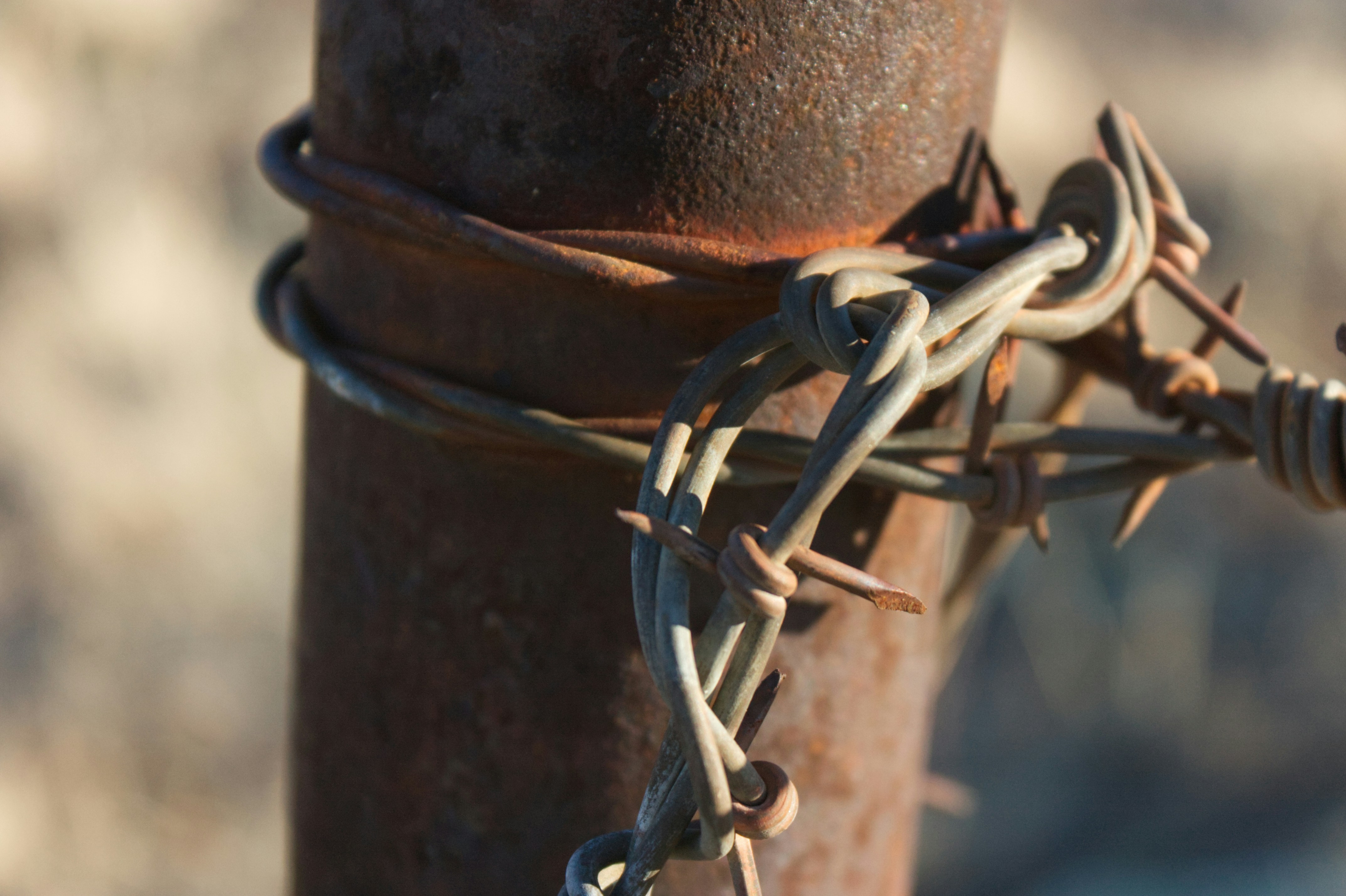 A close up of a metal pole with a bunch of barbed wire photo – Free Fence Image on Unsplash