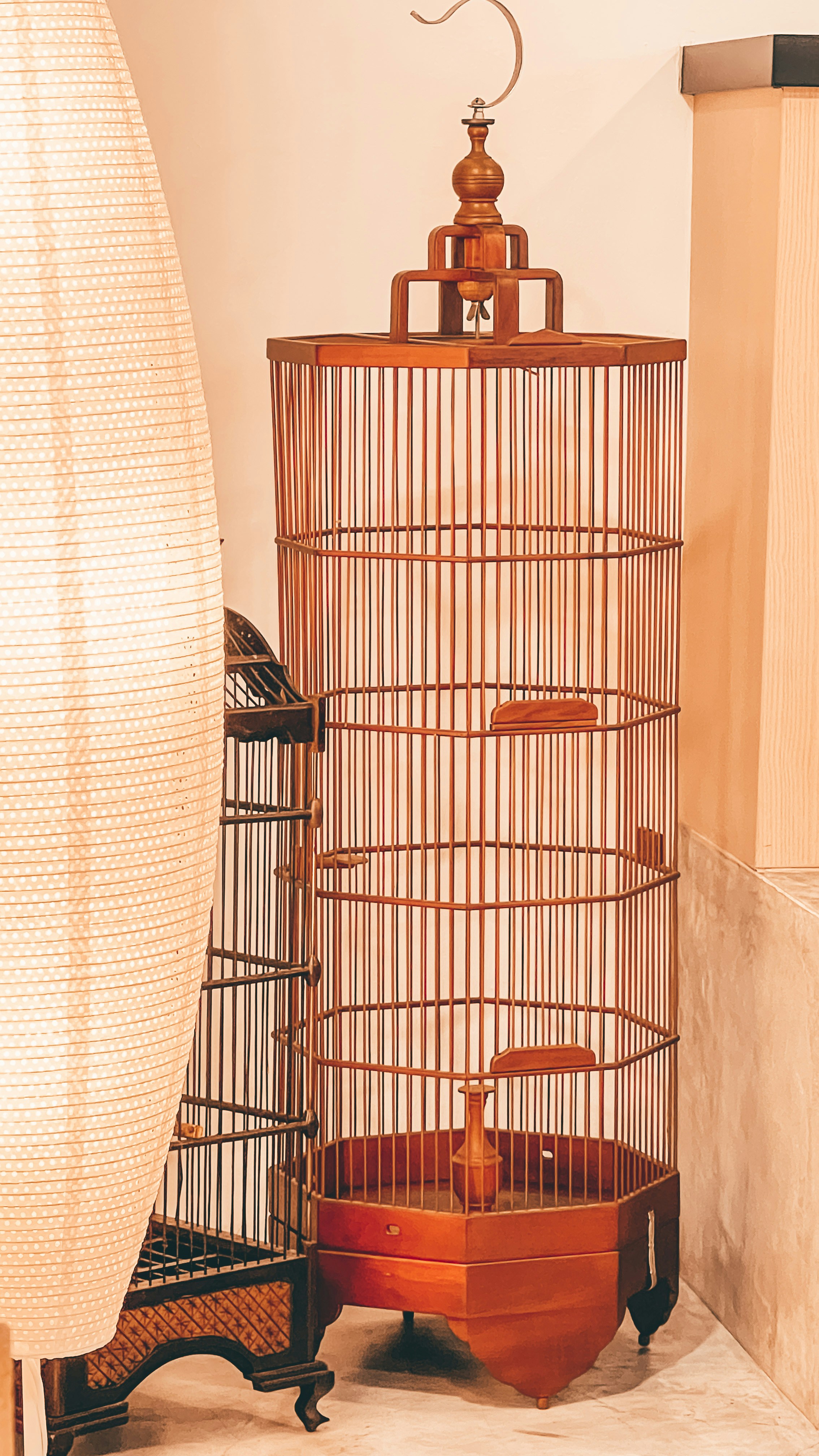 Copper Lattice in a Quiet Corner of Warm Light