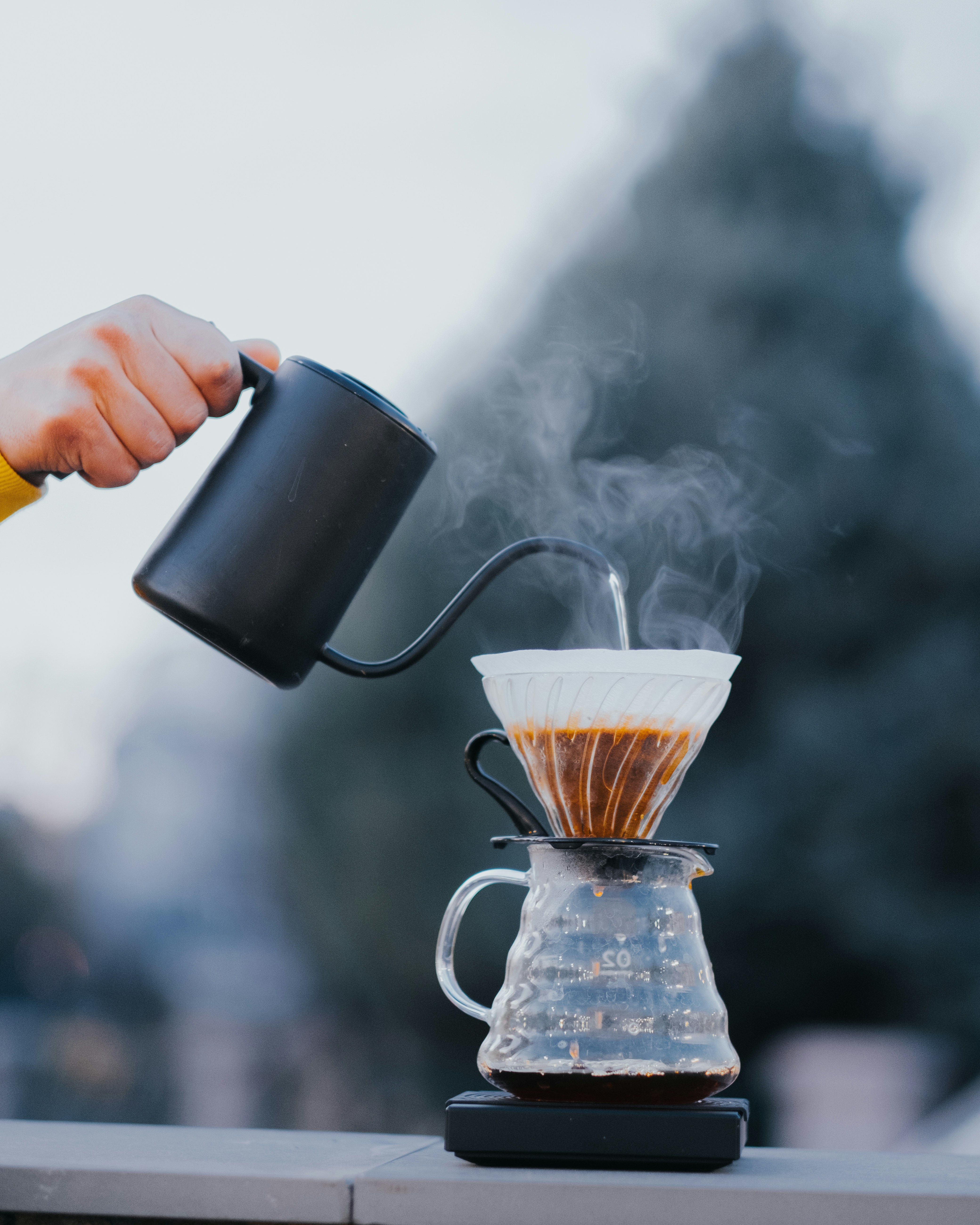 Coffee Design Pictures | Download Free Images on Unsplash