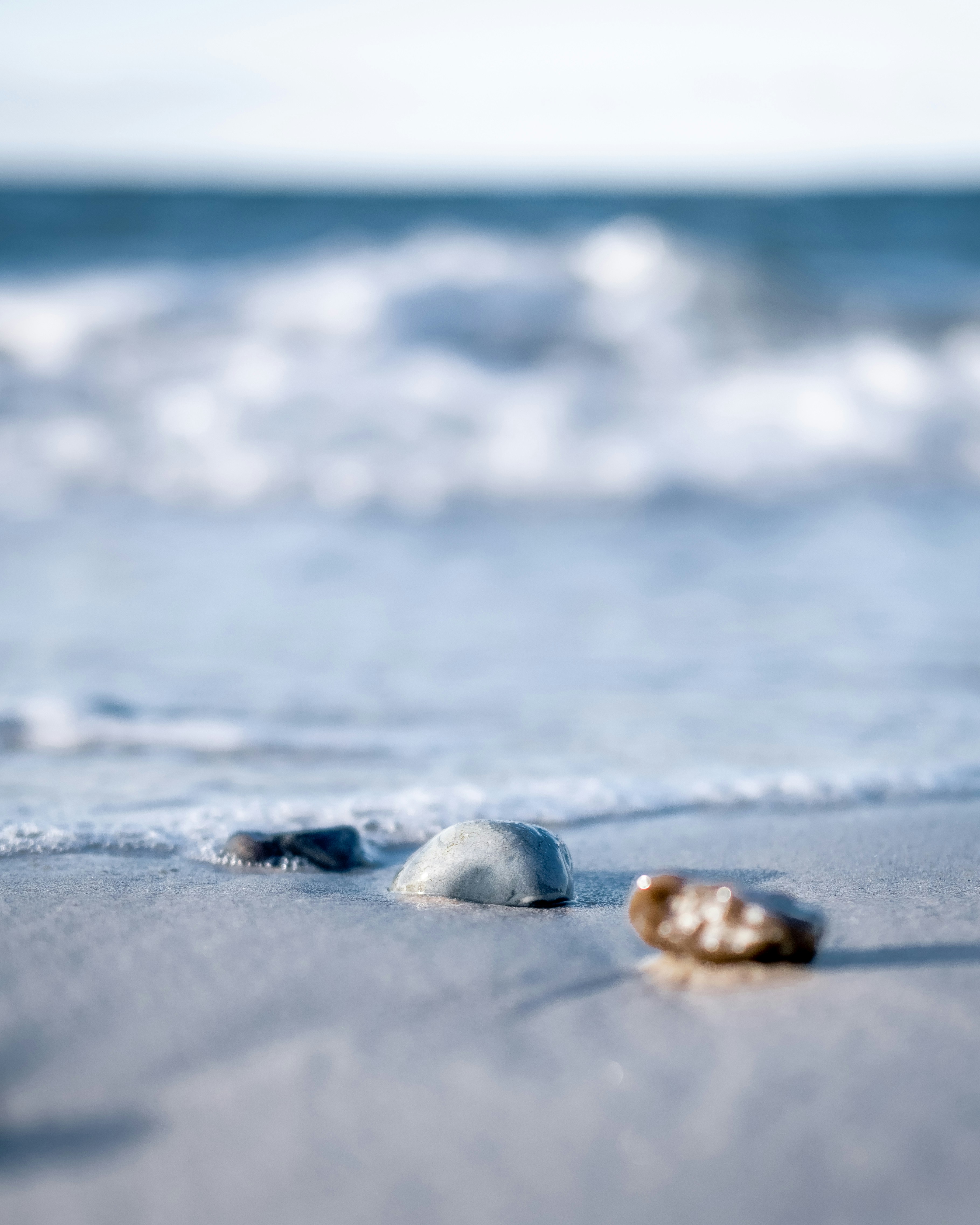 Photo by Michael Held with Fujifilm X-T4