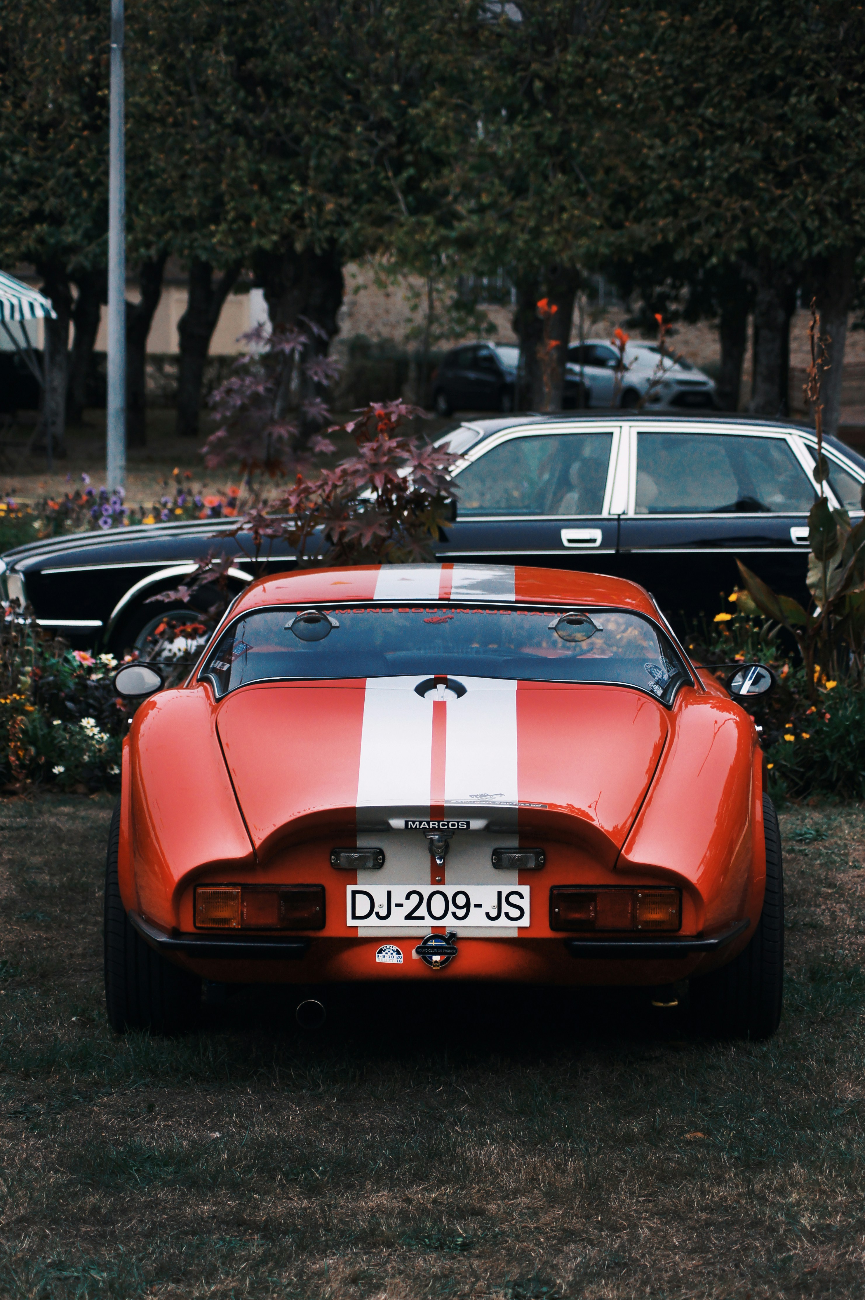 Scarlet Vintage Racer: A Rear View Amid Garden Bloom