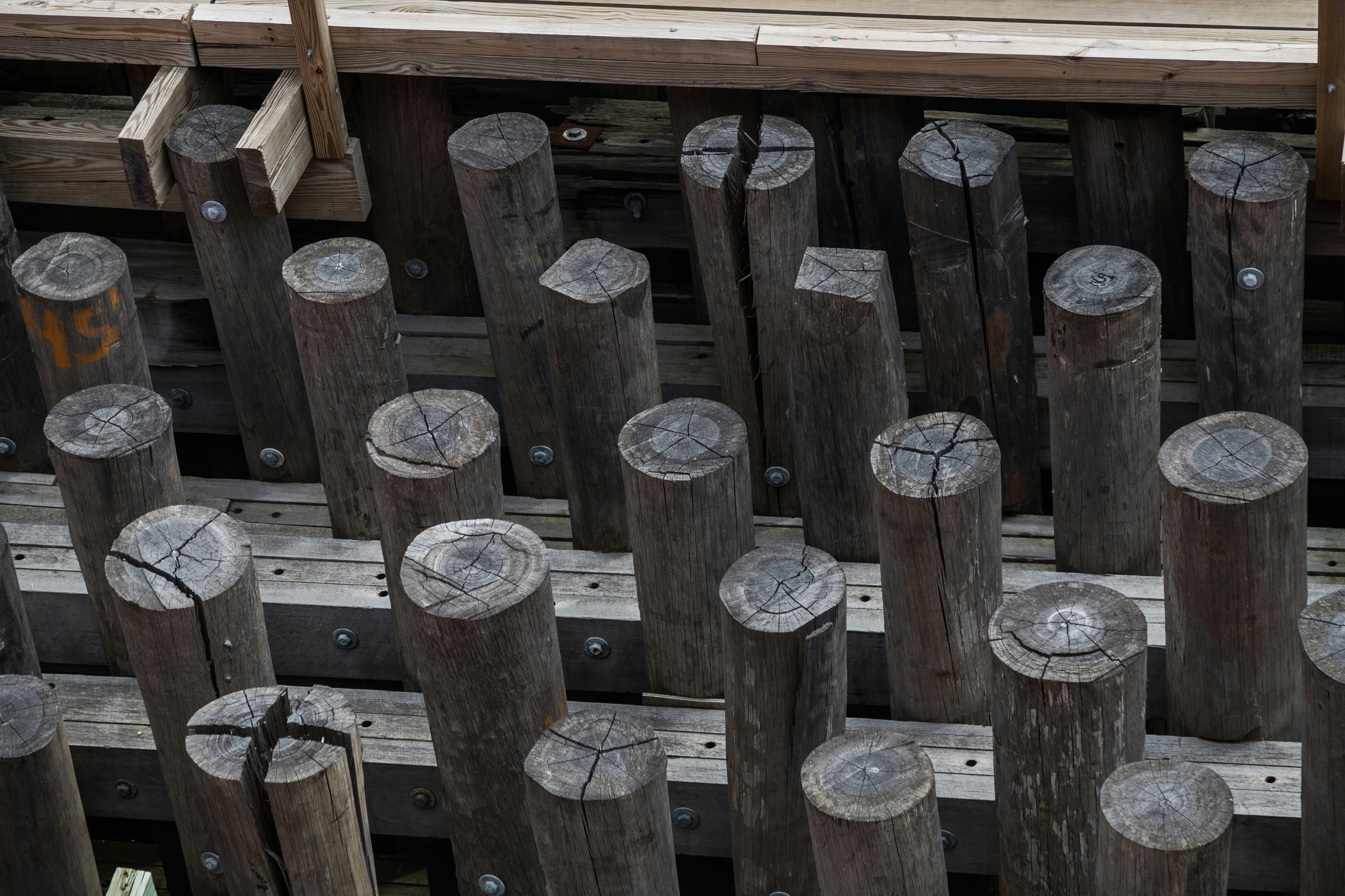 Photo by Bernd 📷 Dittrich with Canon EOS 6D Mark II