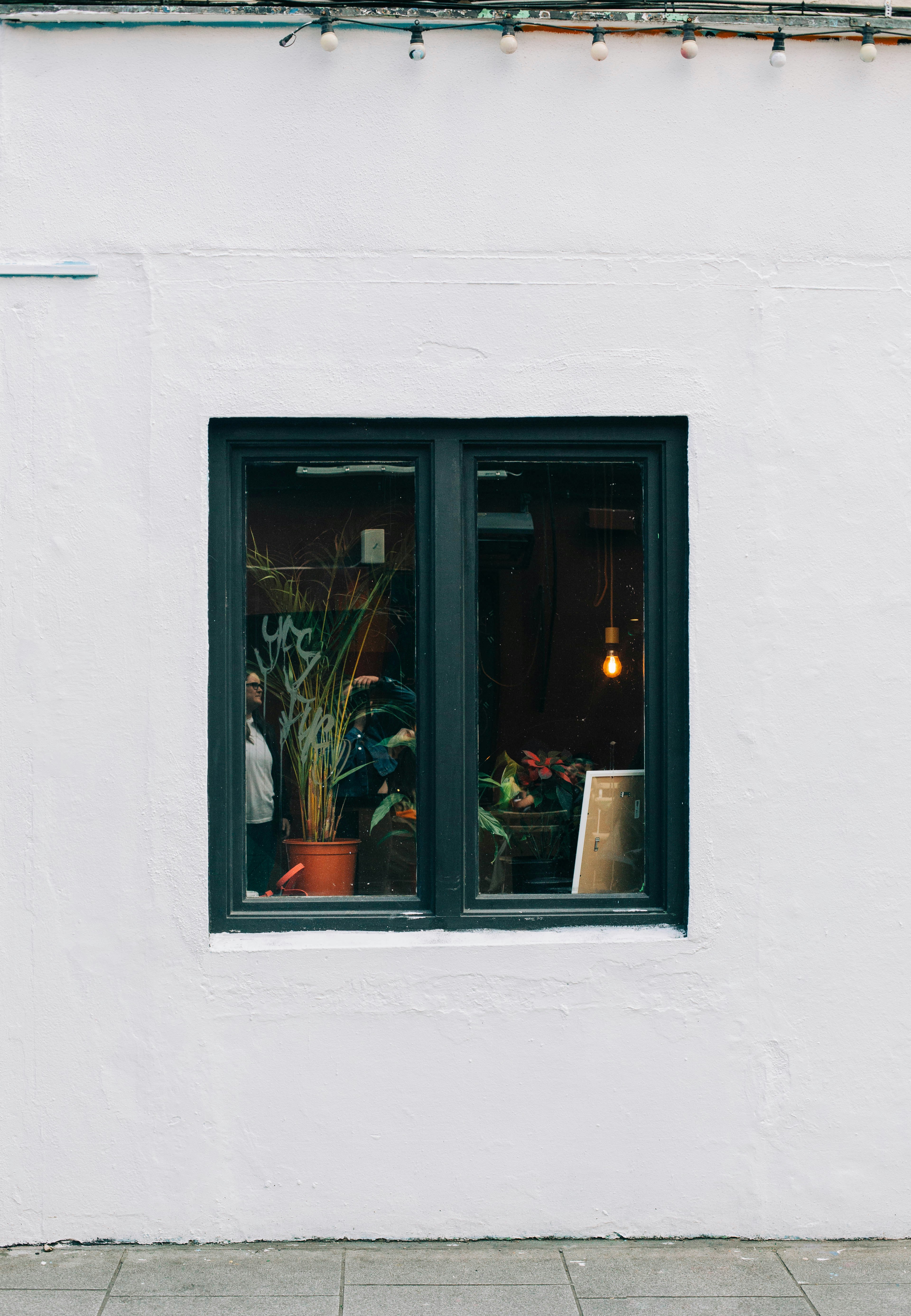 A pretty plant window in Athlone, Ireland | a white building with two windows and a potted plant