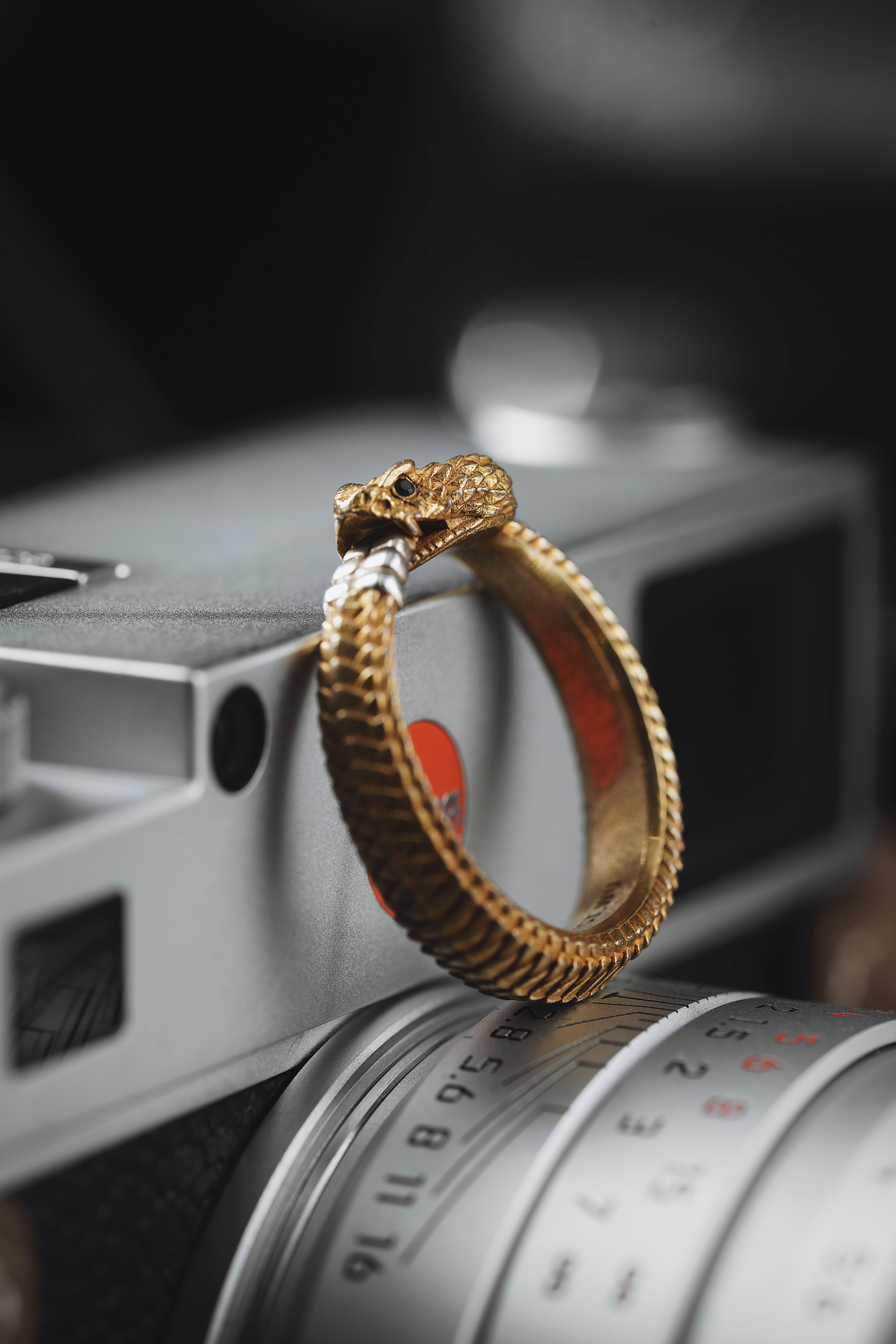 Gold Ouroboros Draped Across a Classic Rangefinder
